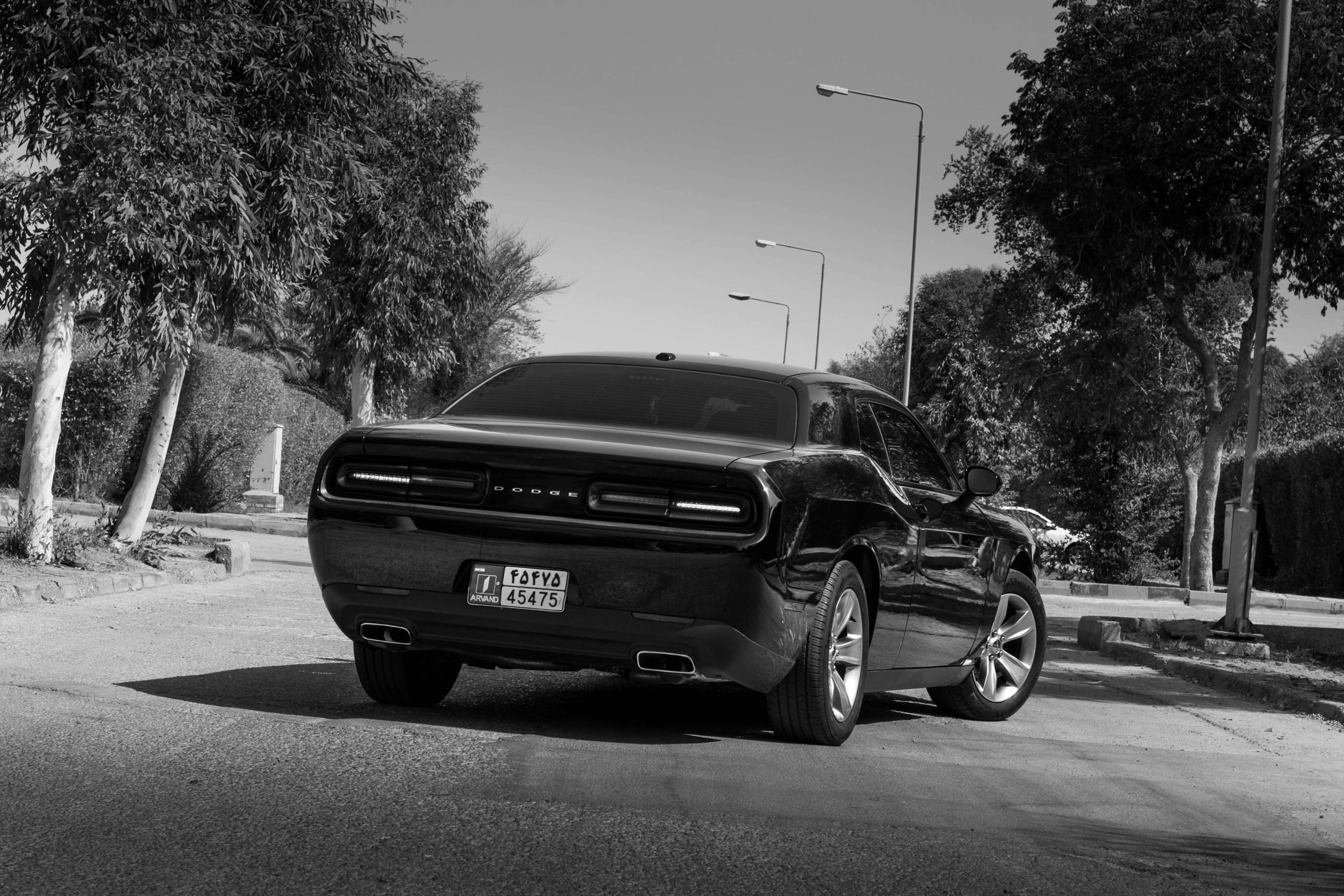 Monochrome Muscle on an Empty Suburban Street