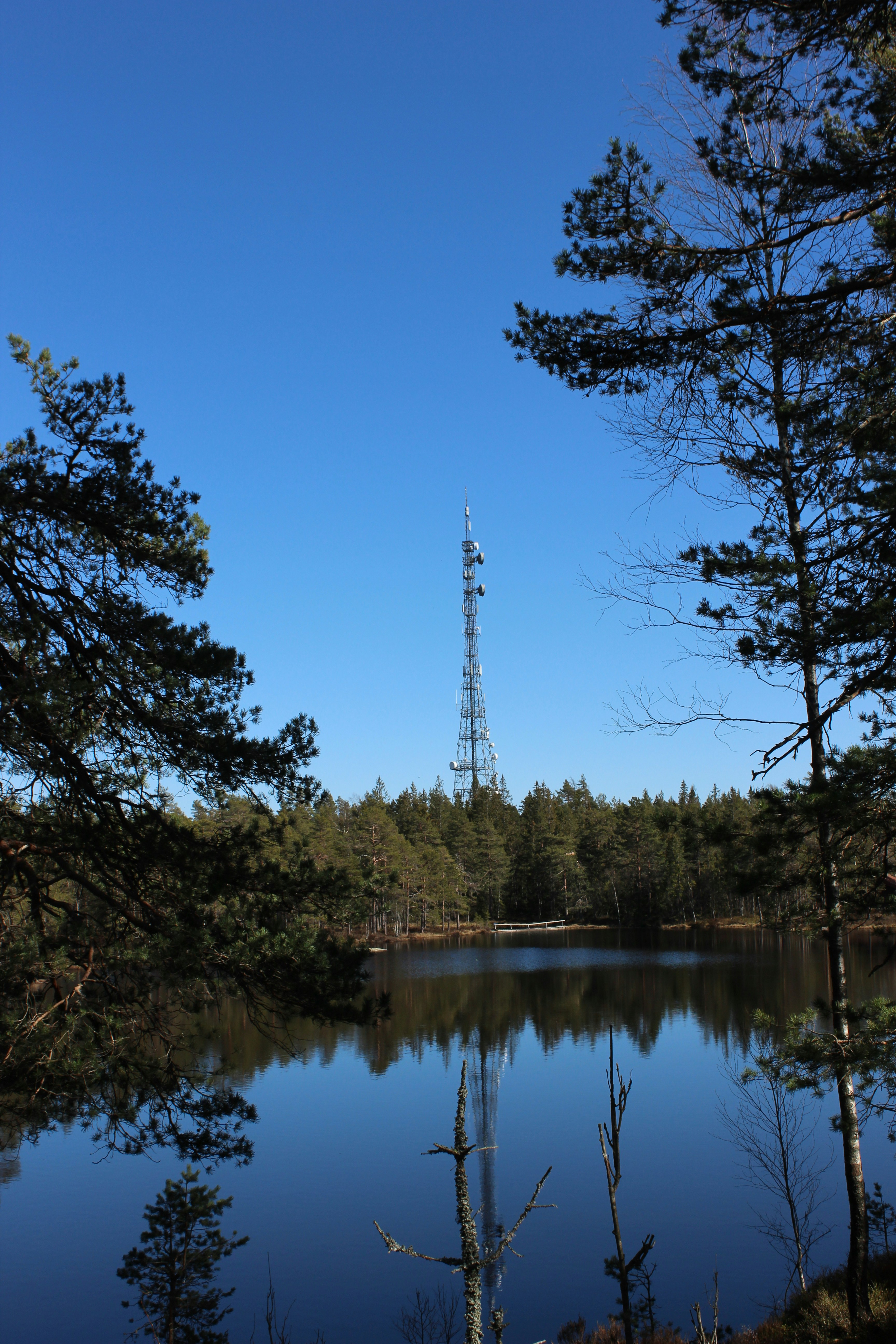 Communication tower rises above the treetops, reflecting in the calm waters of a forest lake under a clear blue sky.