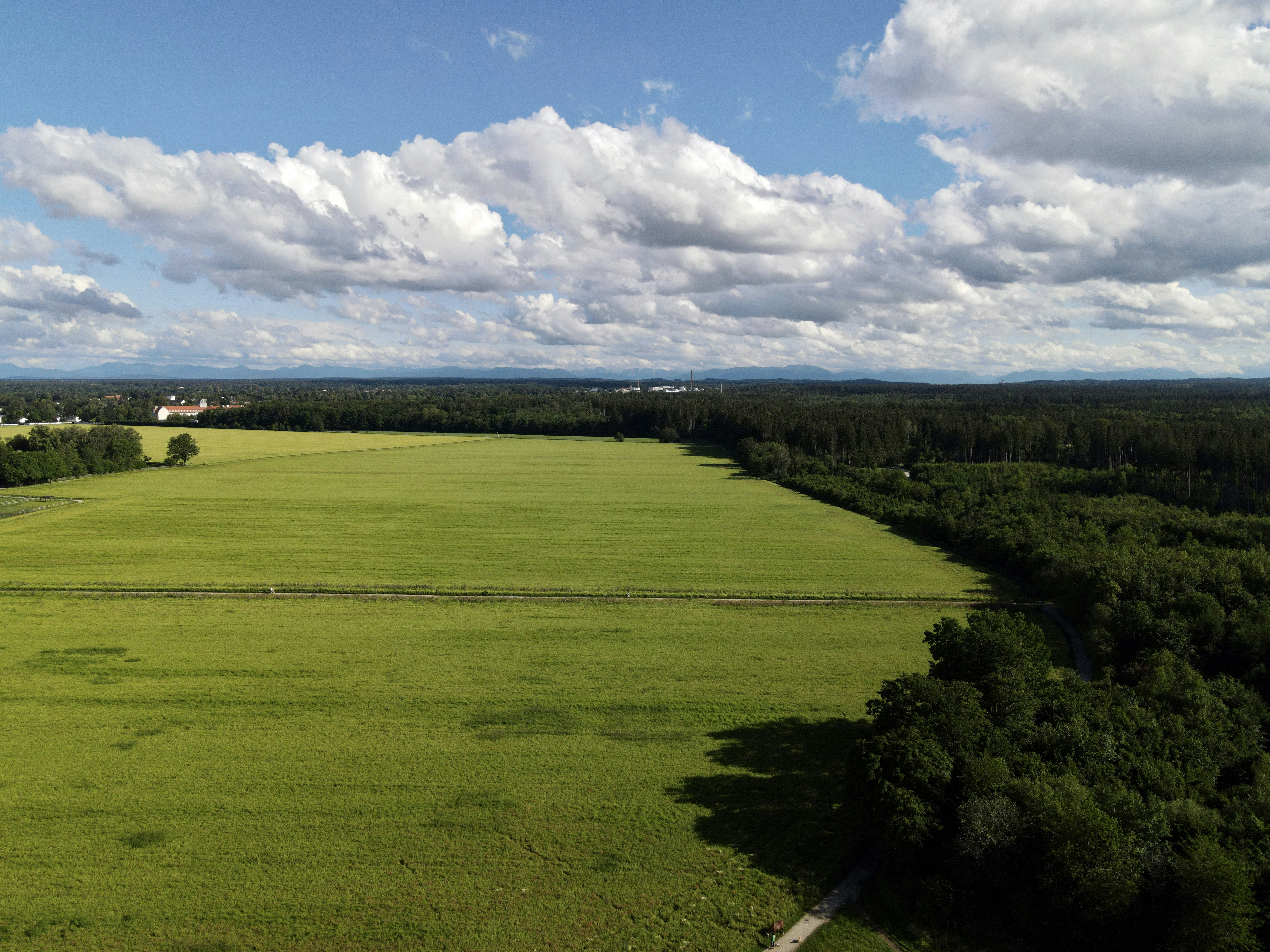 Thunder Frog (@thunderfrog) | Komunitas Foto Unsplash