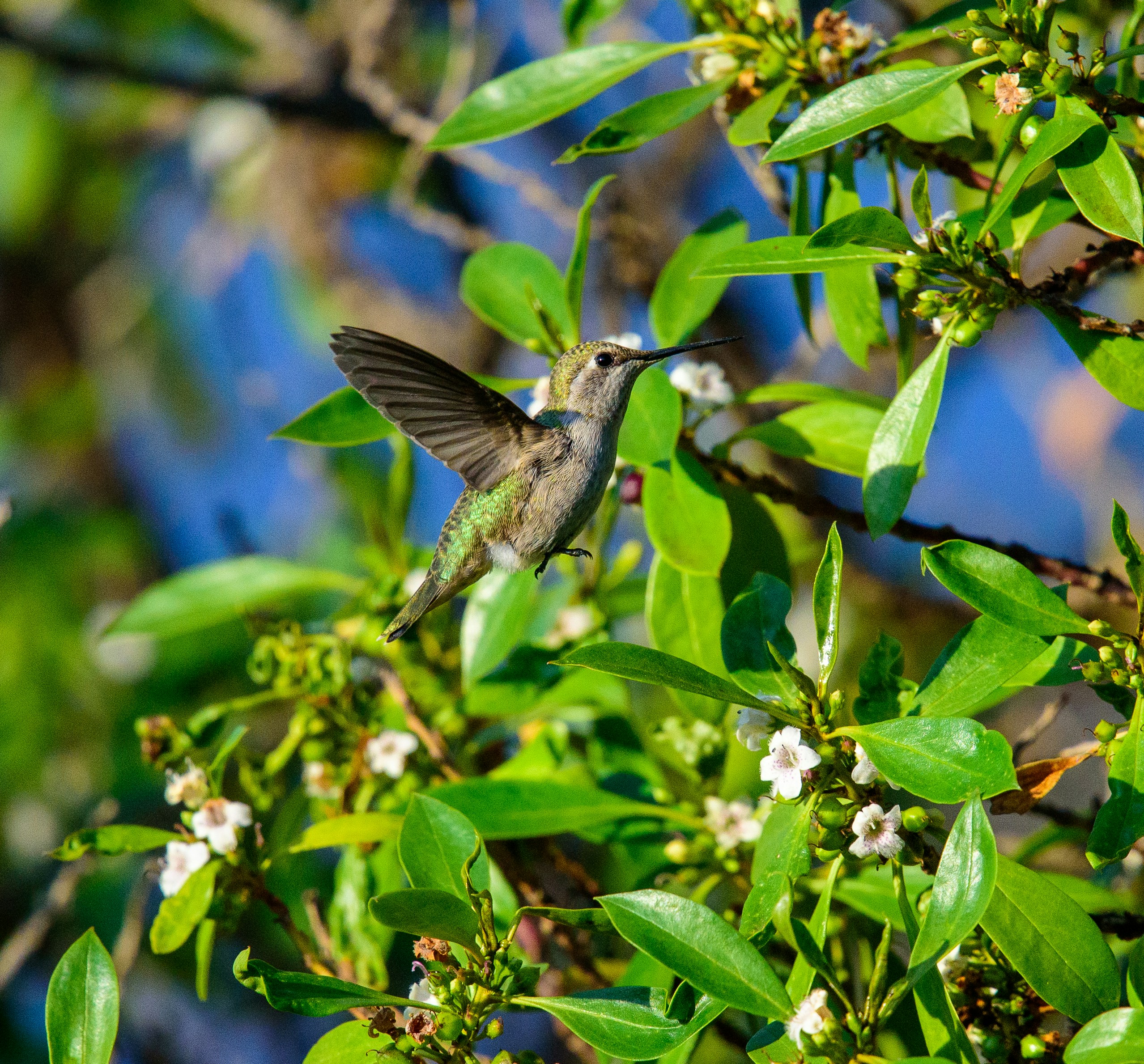 David Verderosa (@daveverderosa) | Comunidade de fotos da Unsplash