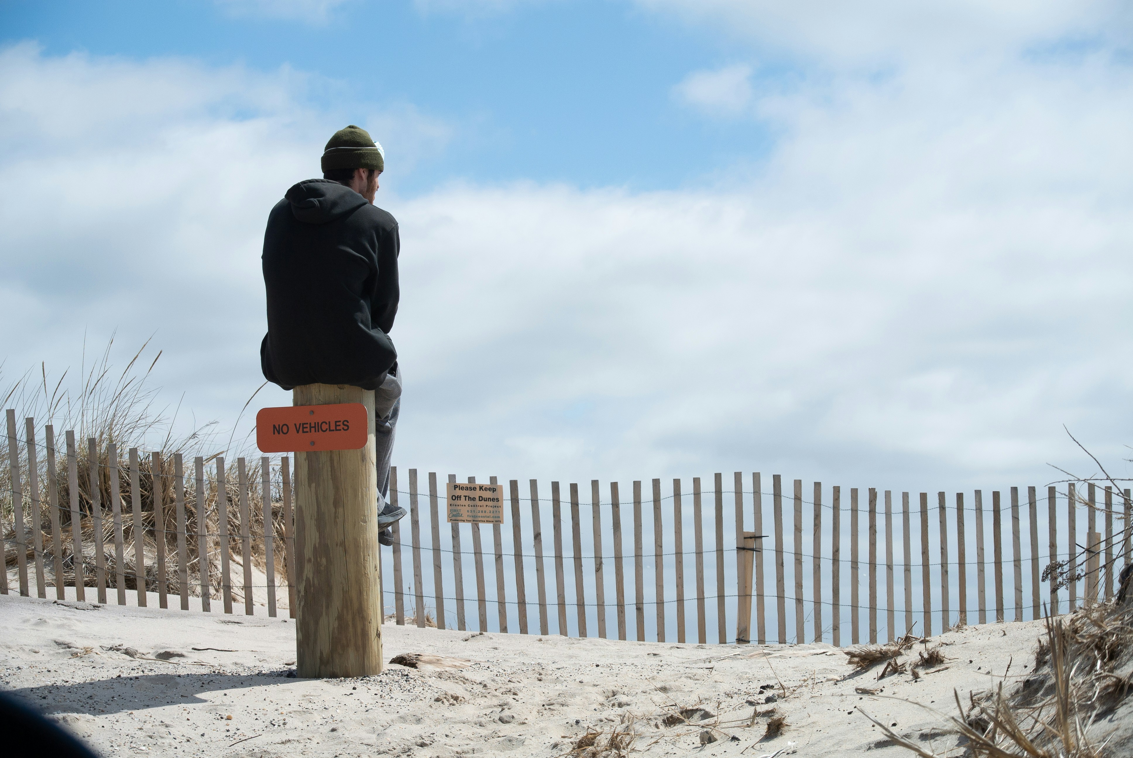 Lone Watcher on a Dune Post: A Quiet Seaside Moment