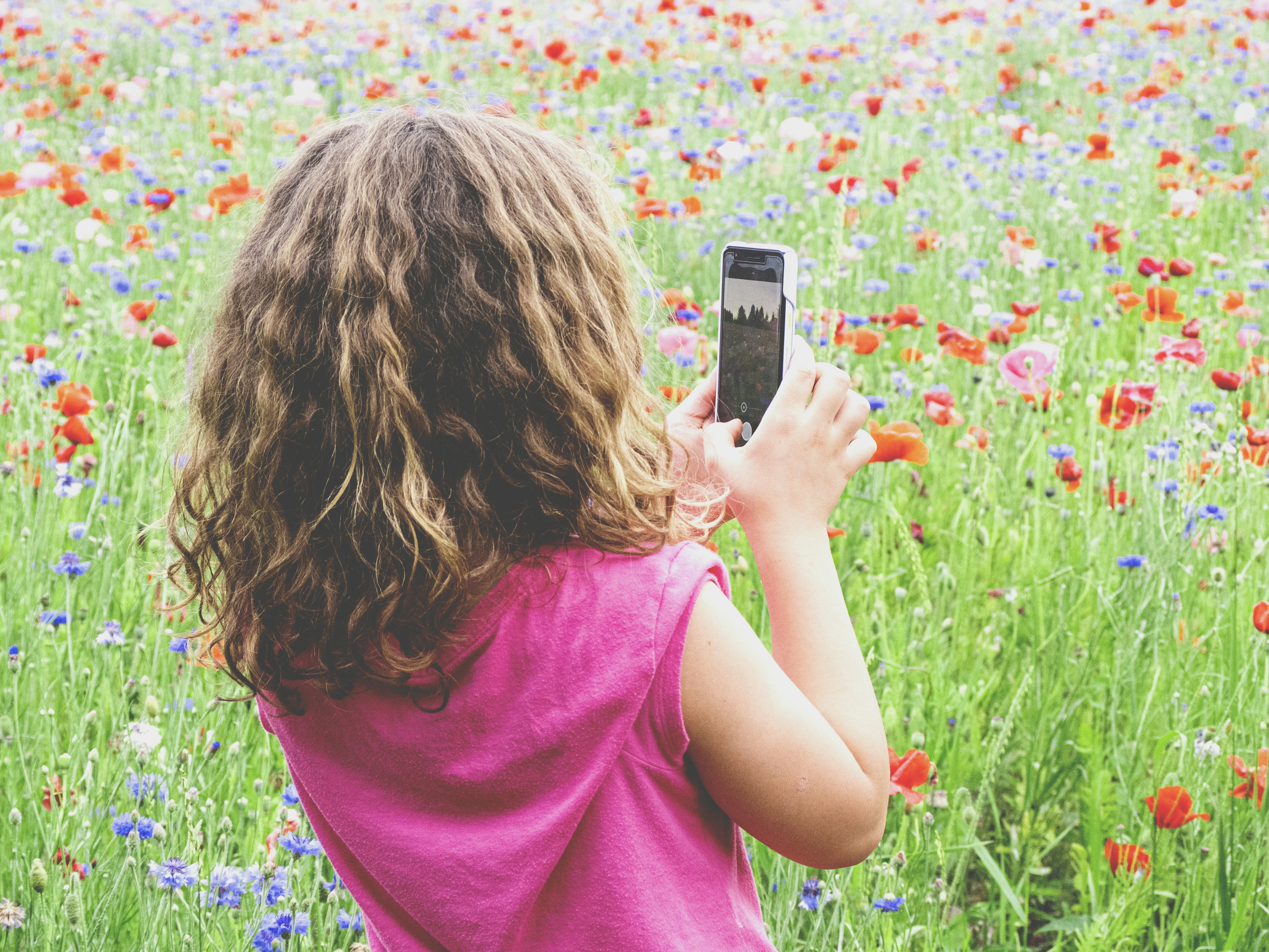 A child in a pink shirt films a vibrant meadow of wildflowers with a smartphone, turning a sunlit field into a candid memory.