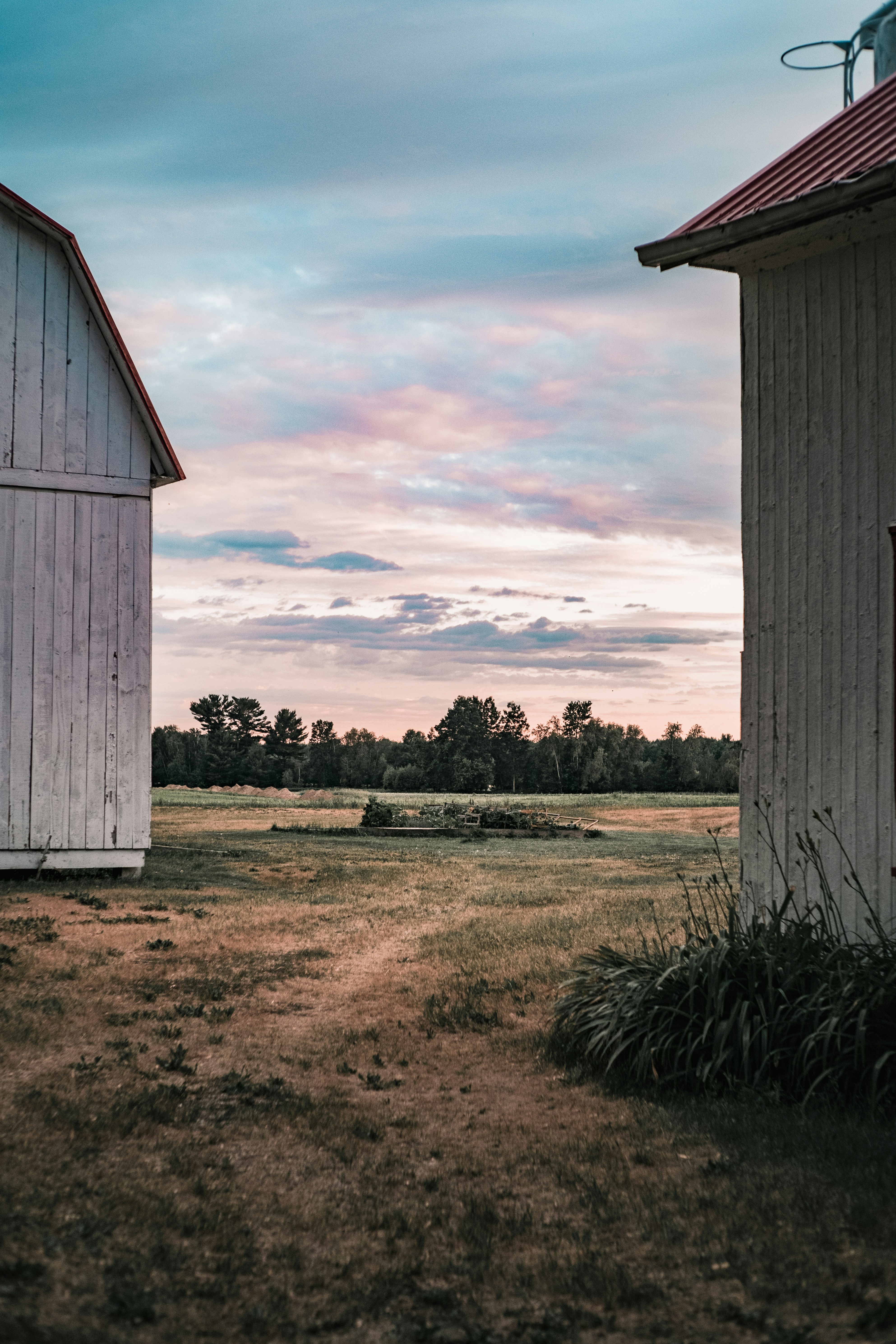 Ferme Pictures | Download Free Images on Unsplash