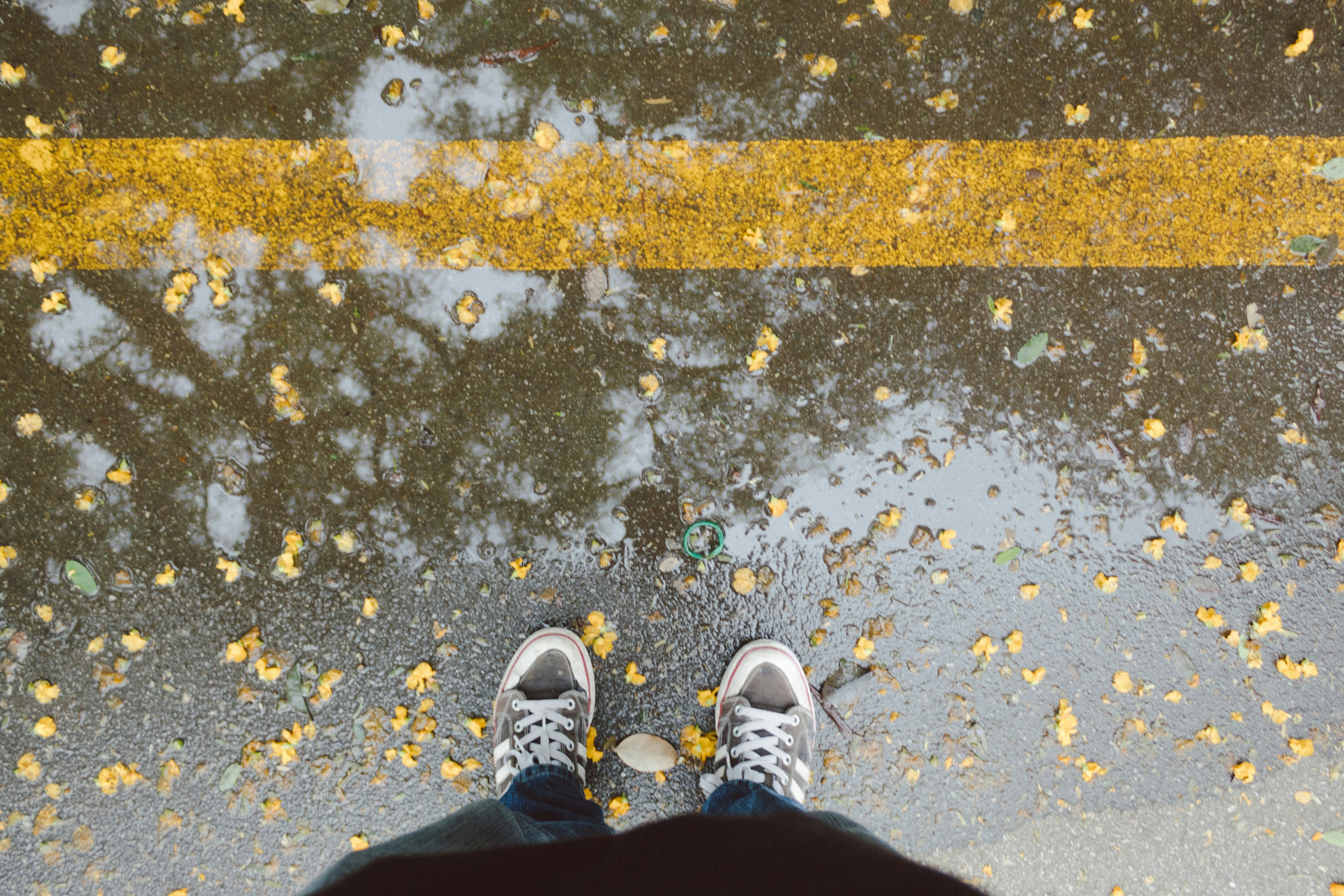 Feet standing on a rain-soaked path adorned with fallen yellow flowers and a yellow line, capturing the essence of a rainy autumn day.