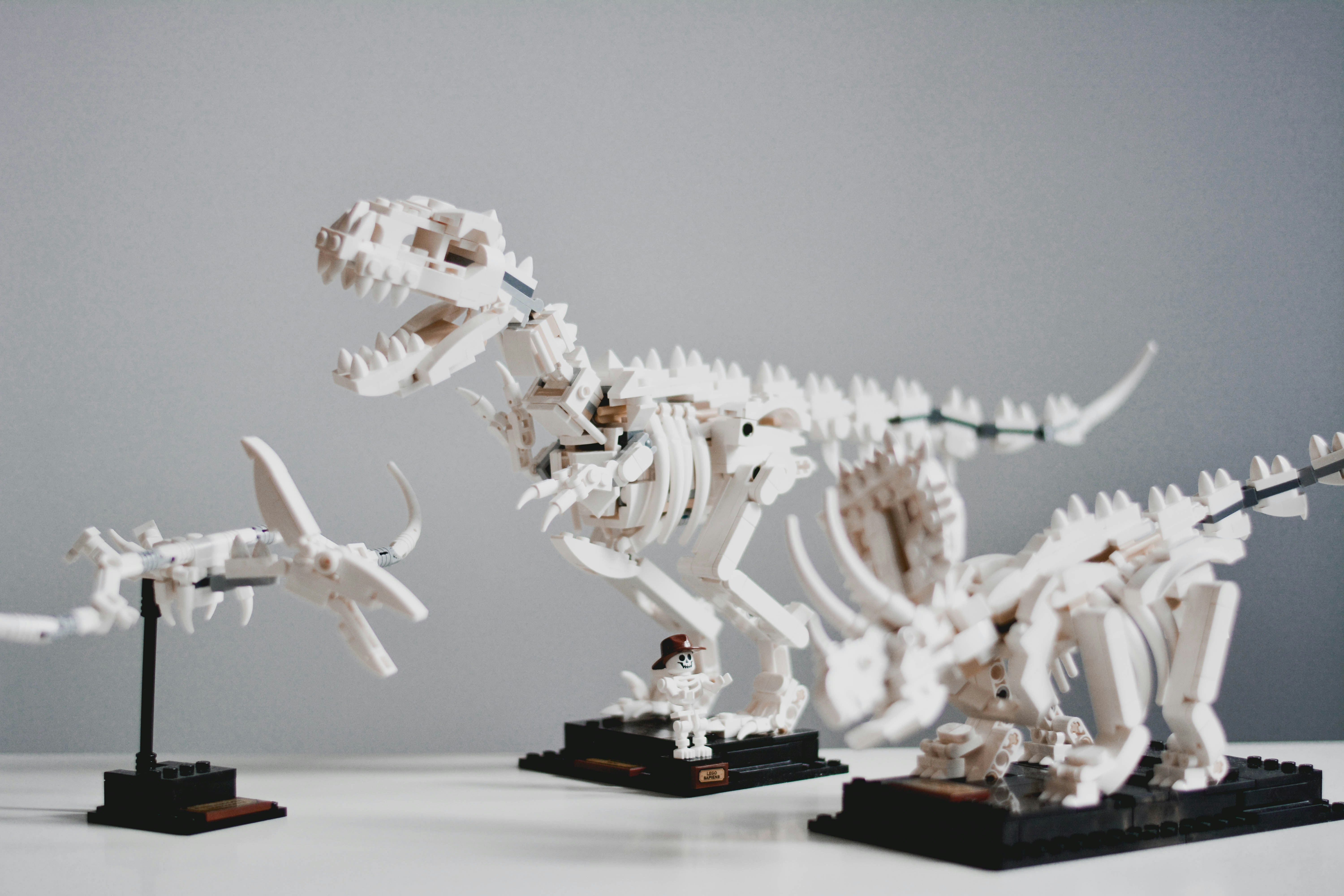 Intricate white dinosaur skeleton models constructed from building blocks, showcased on black bases against a minimalist background.