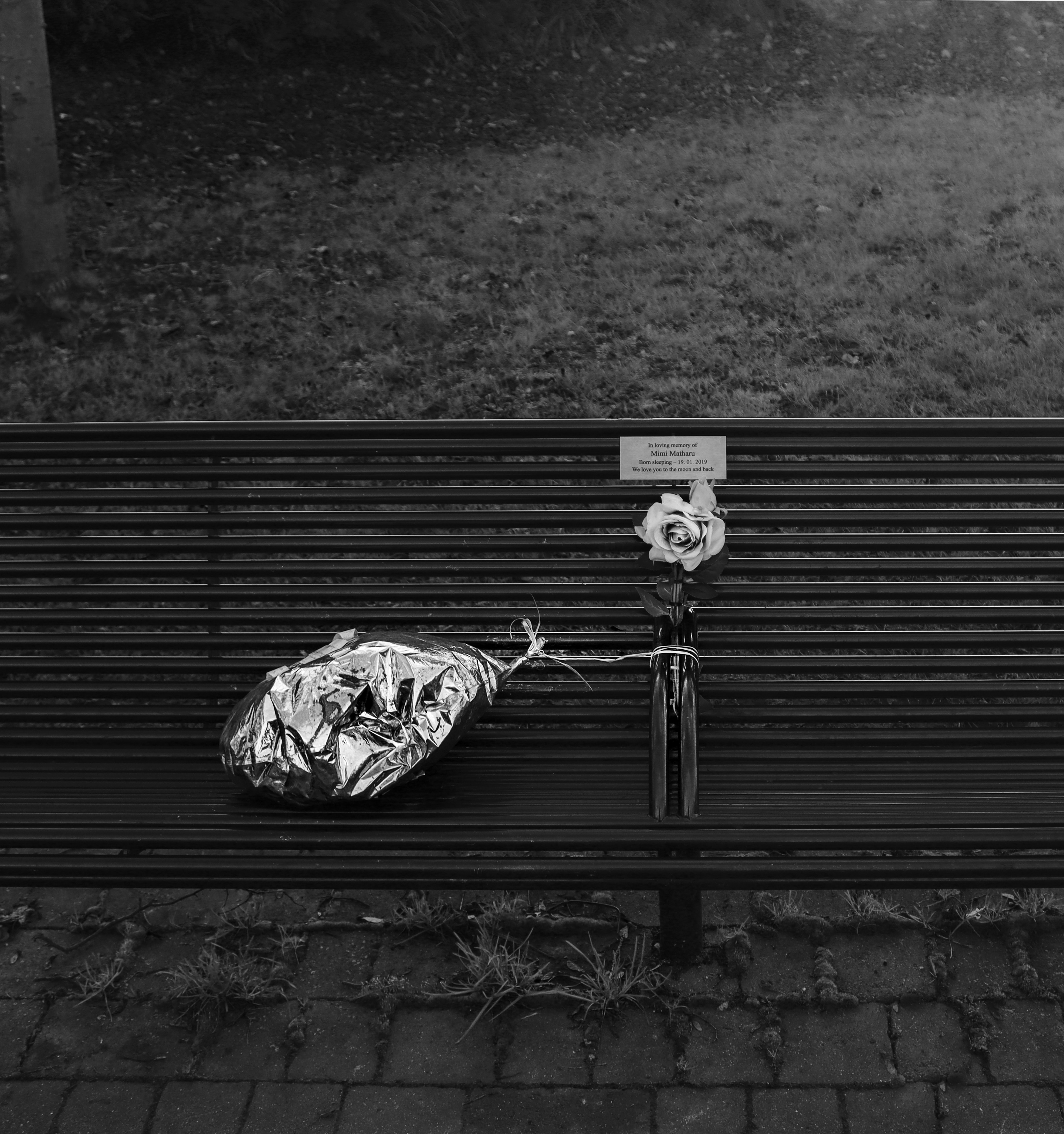 Silent Remembrance: A Tribute on the Bench
