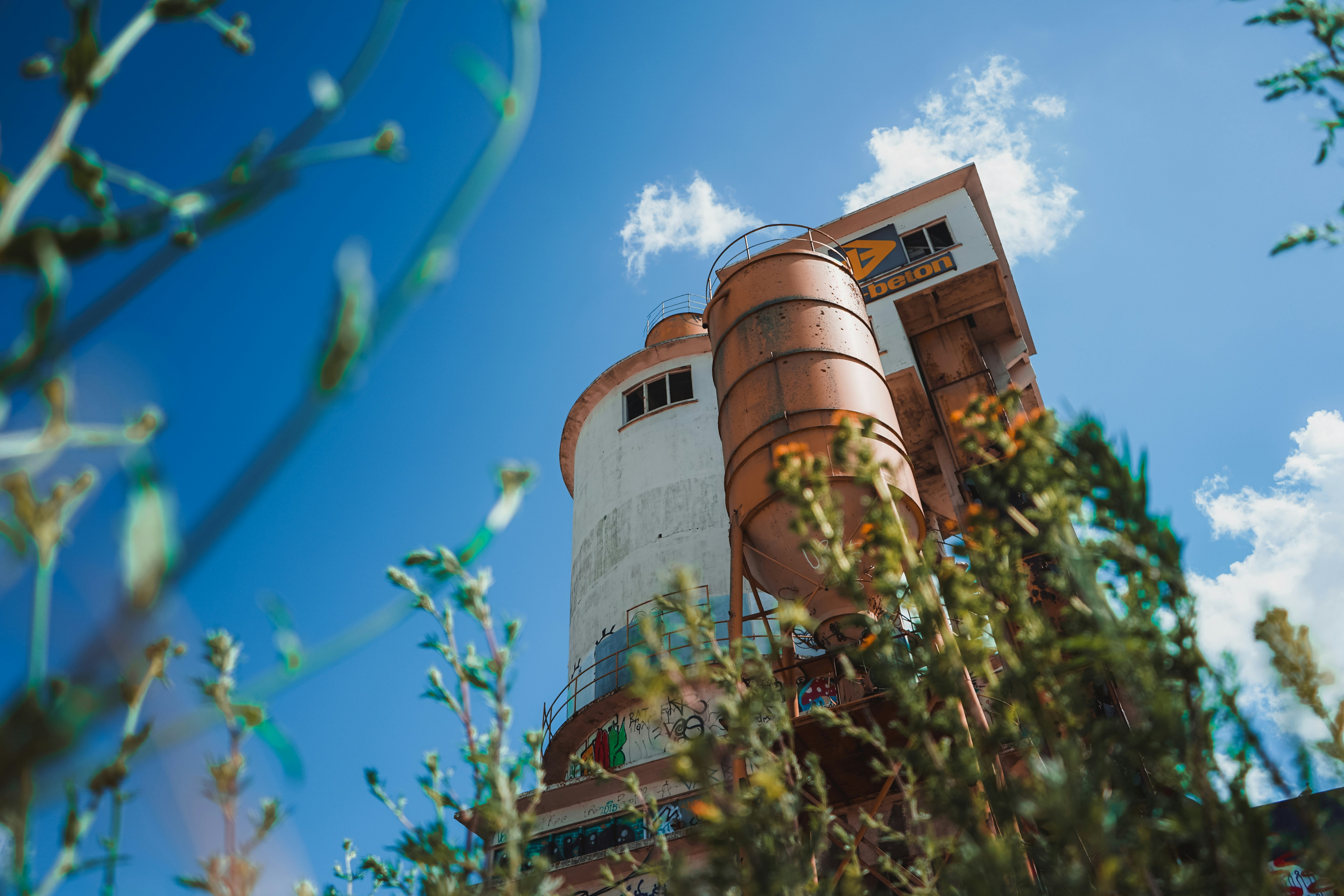 Industrial Echoes Amidst Wild Growth