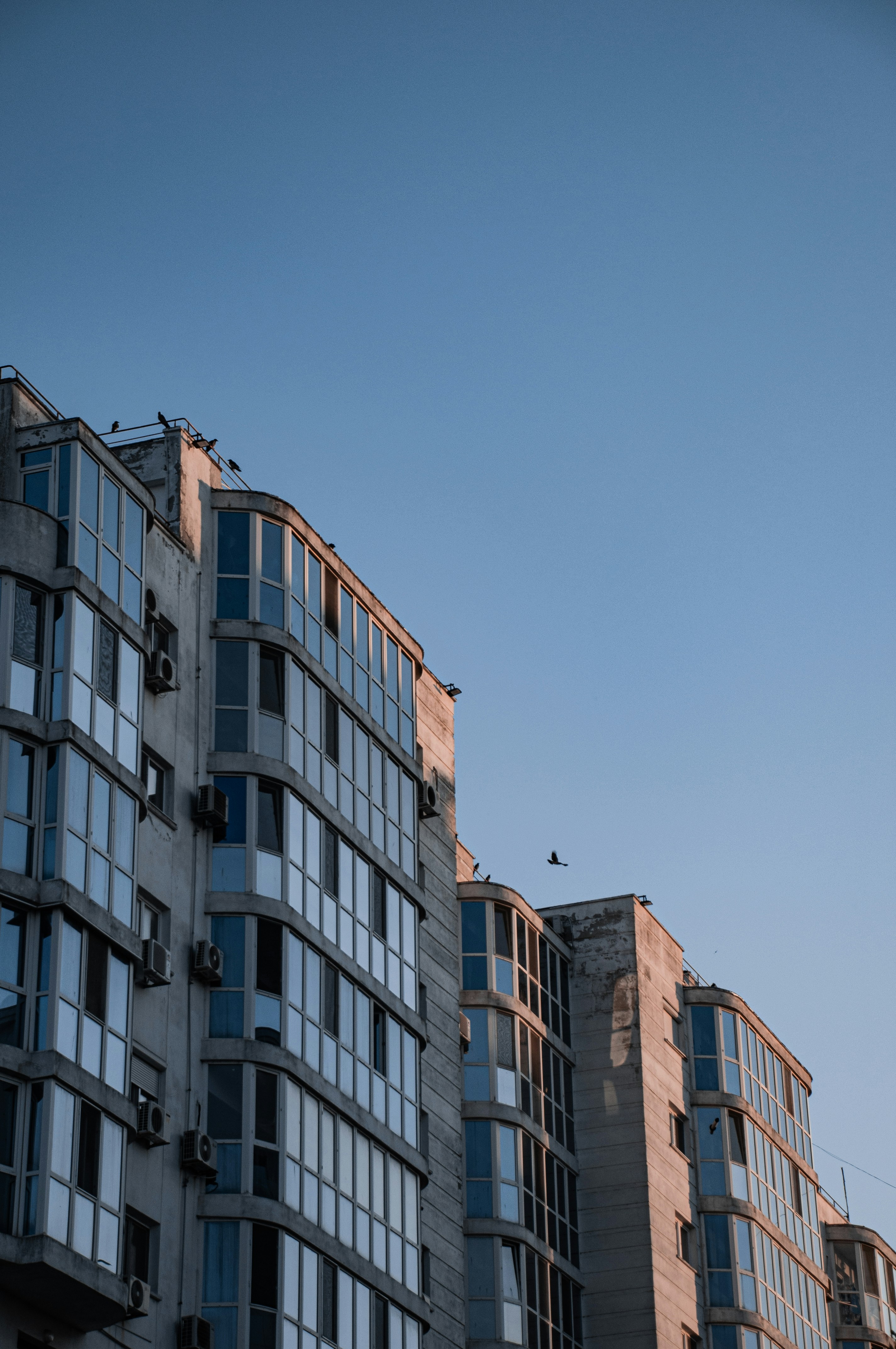 Modern architectural facade reflecting the clear blue sky, with a solitary bird in flight above.