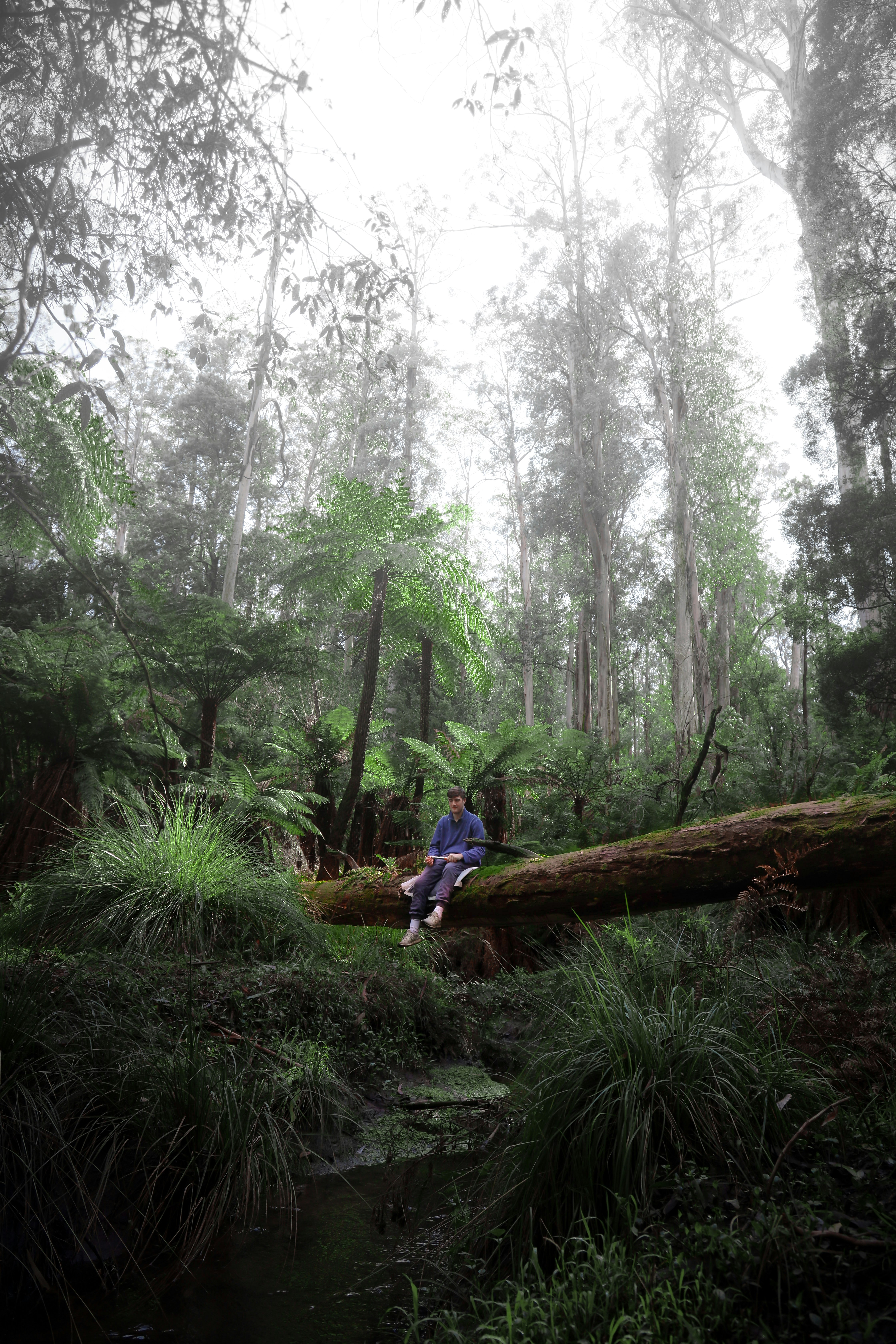 Photo by Pat Whelen with Canon EOS R