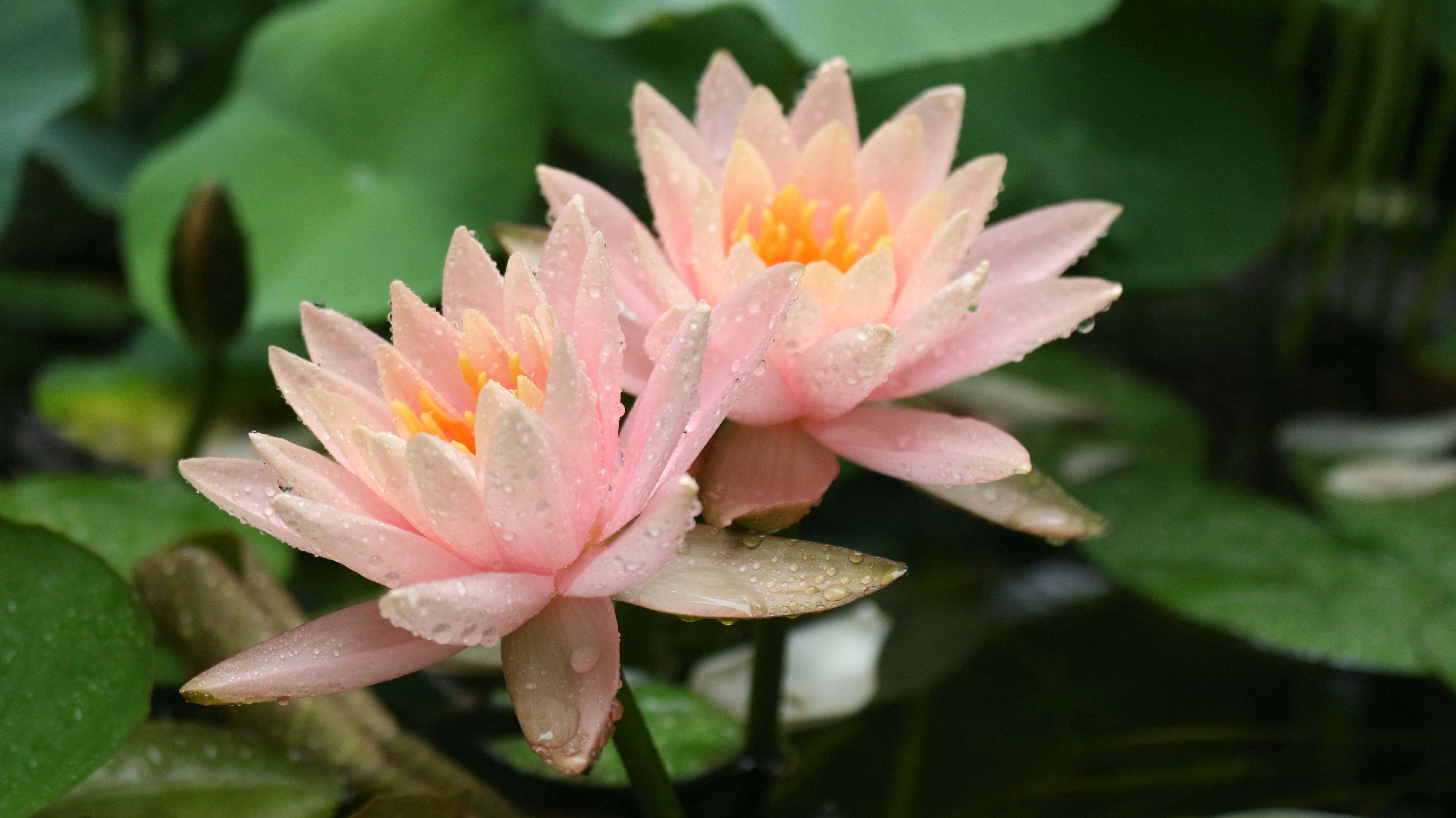 John Smith (@jworld) | Communauté photos Unsplash