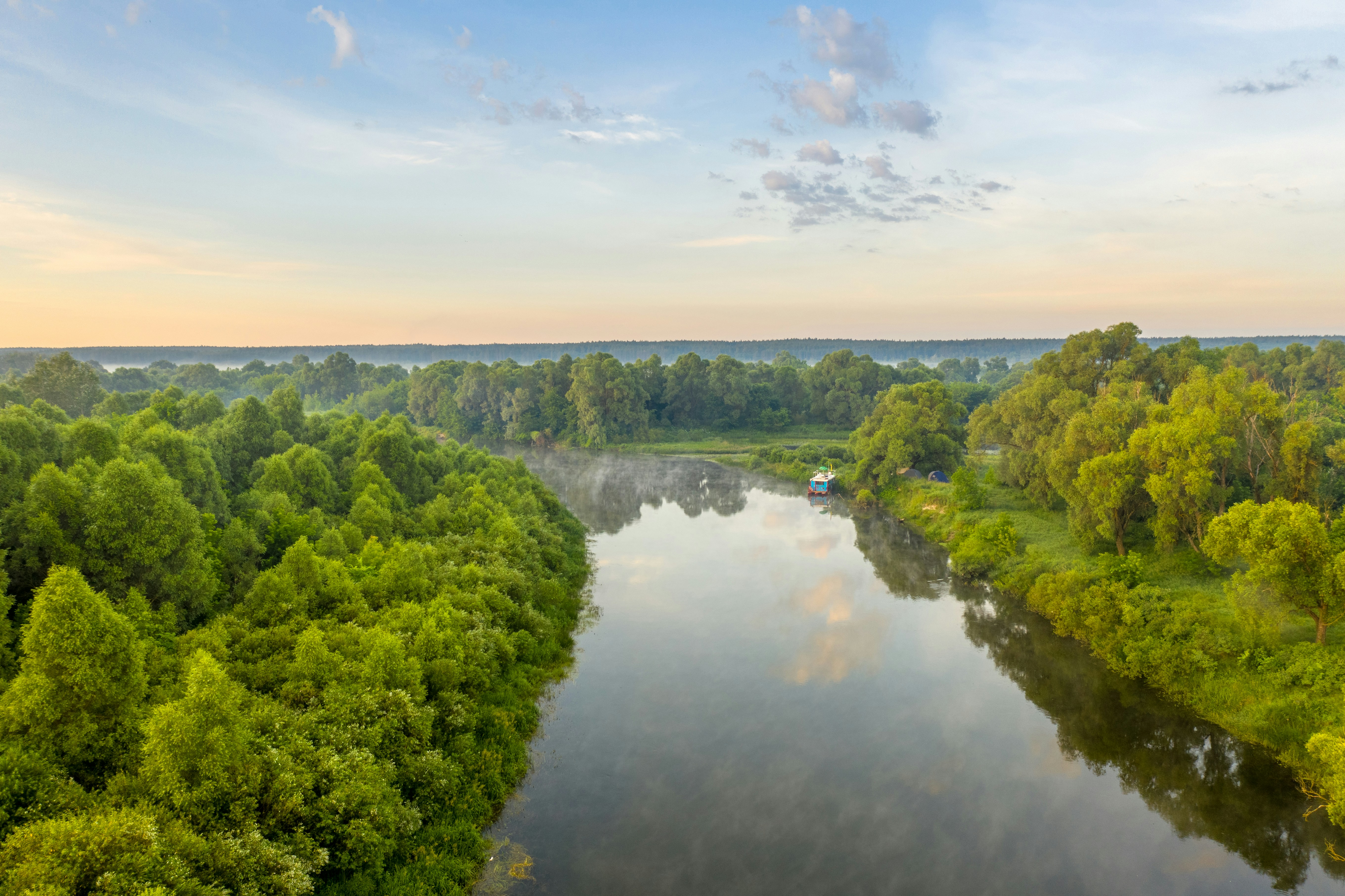 Green trees near river under blue sky during daytime photo – Free Grey ...