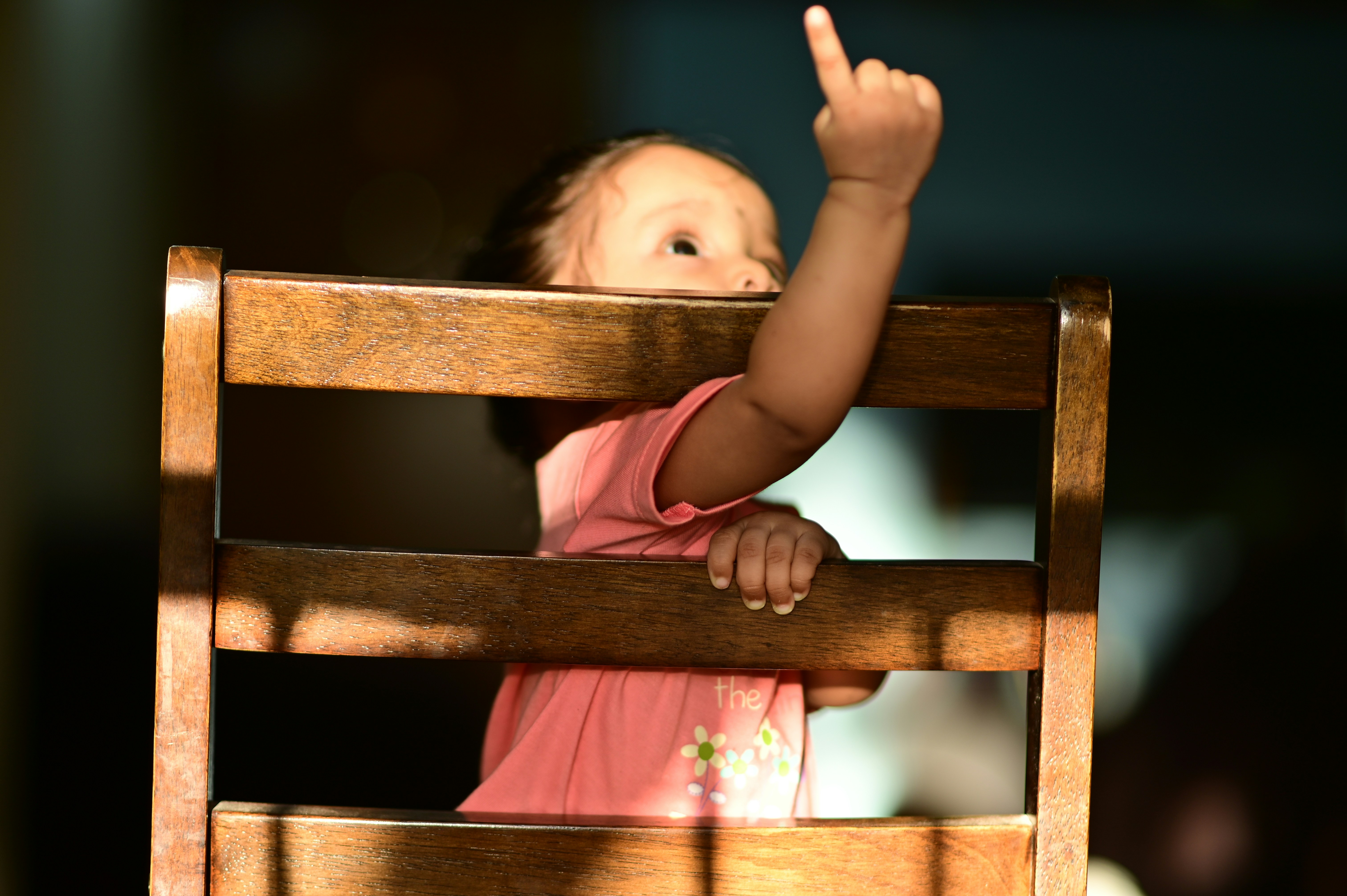 Tiny Explorer Points from Behind Wooden Slats