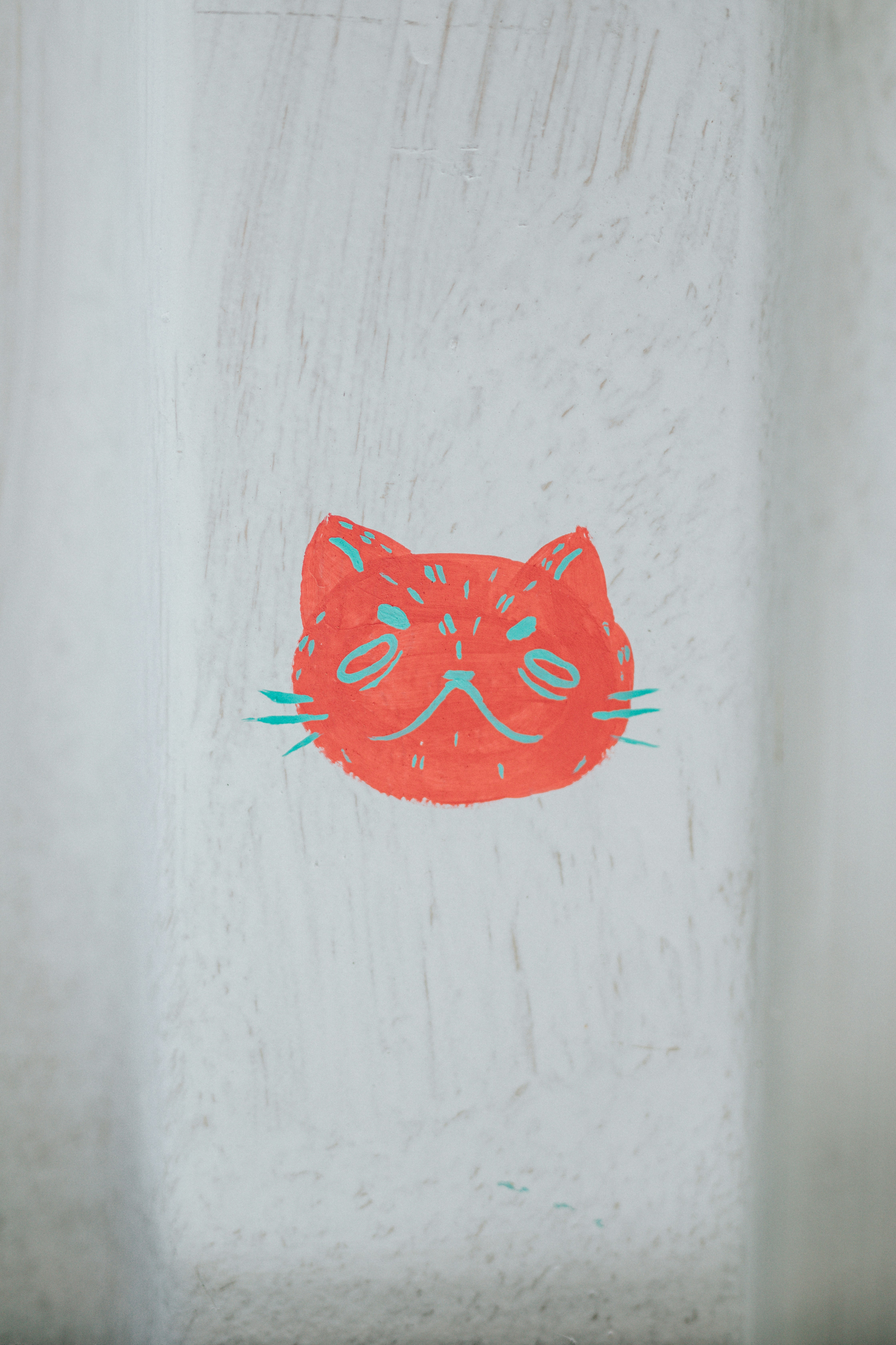 Elgato Cat Wallpaper Pictures | Download Free Images on Unsplash