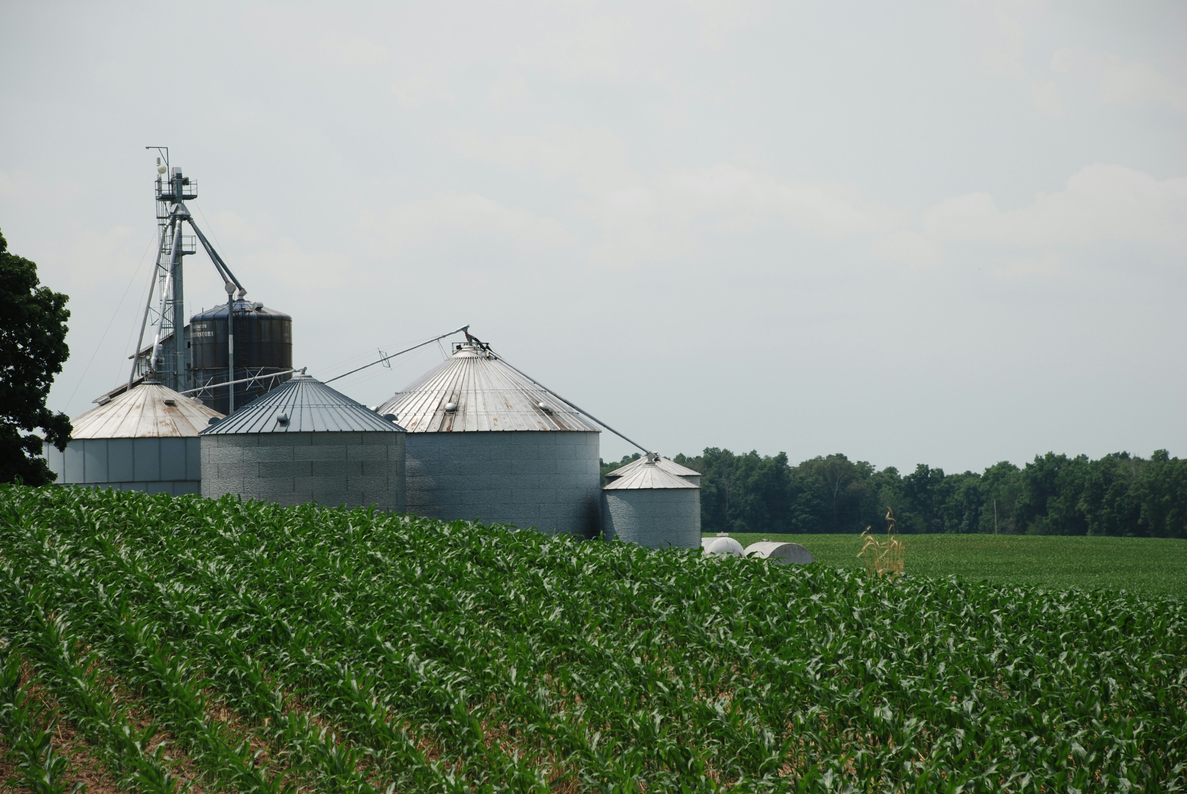 Silos Oversee the Verdant Fields