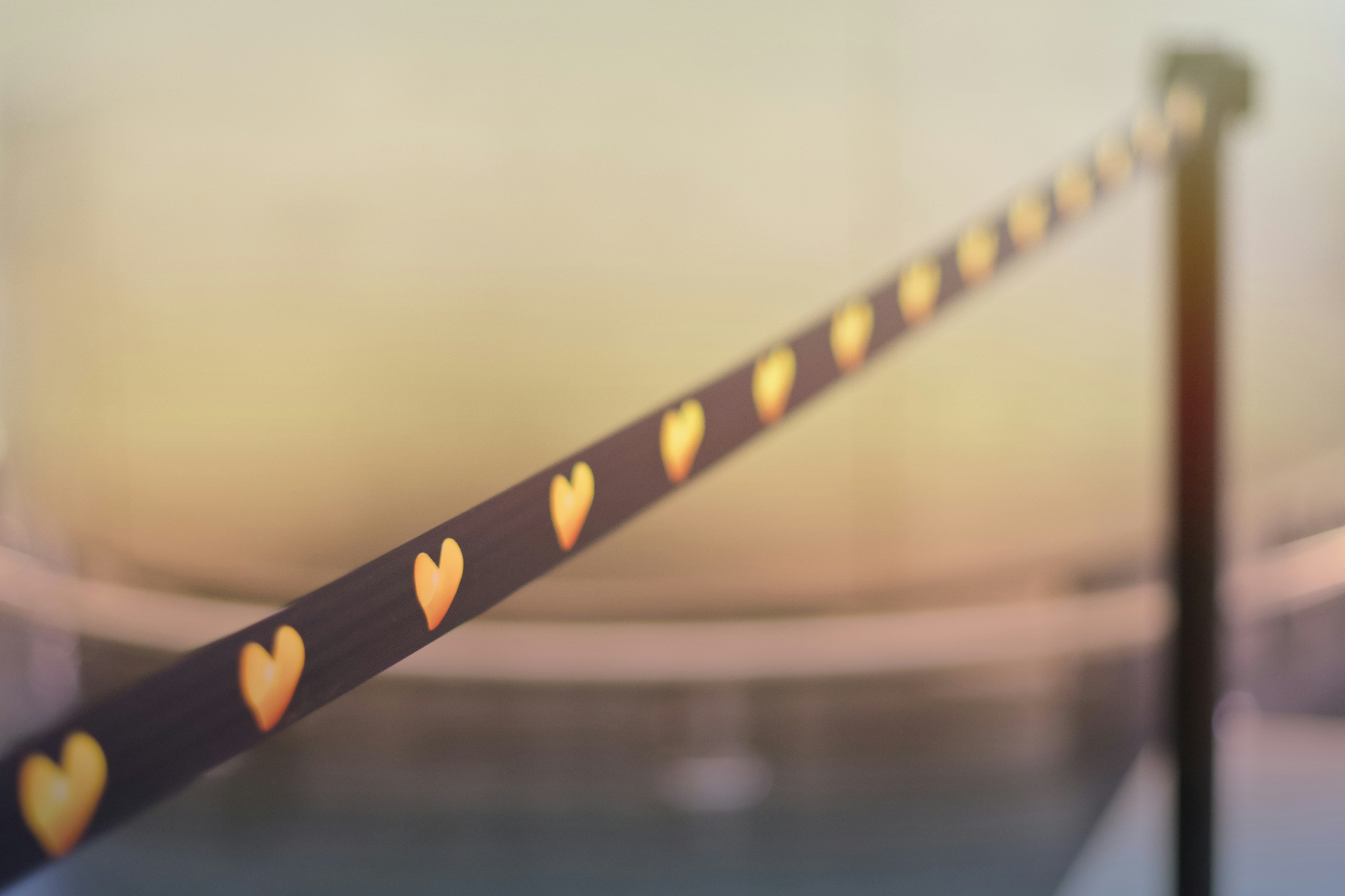 Définition de cordon | Dictionnaire français