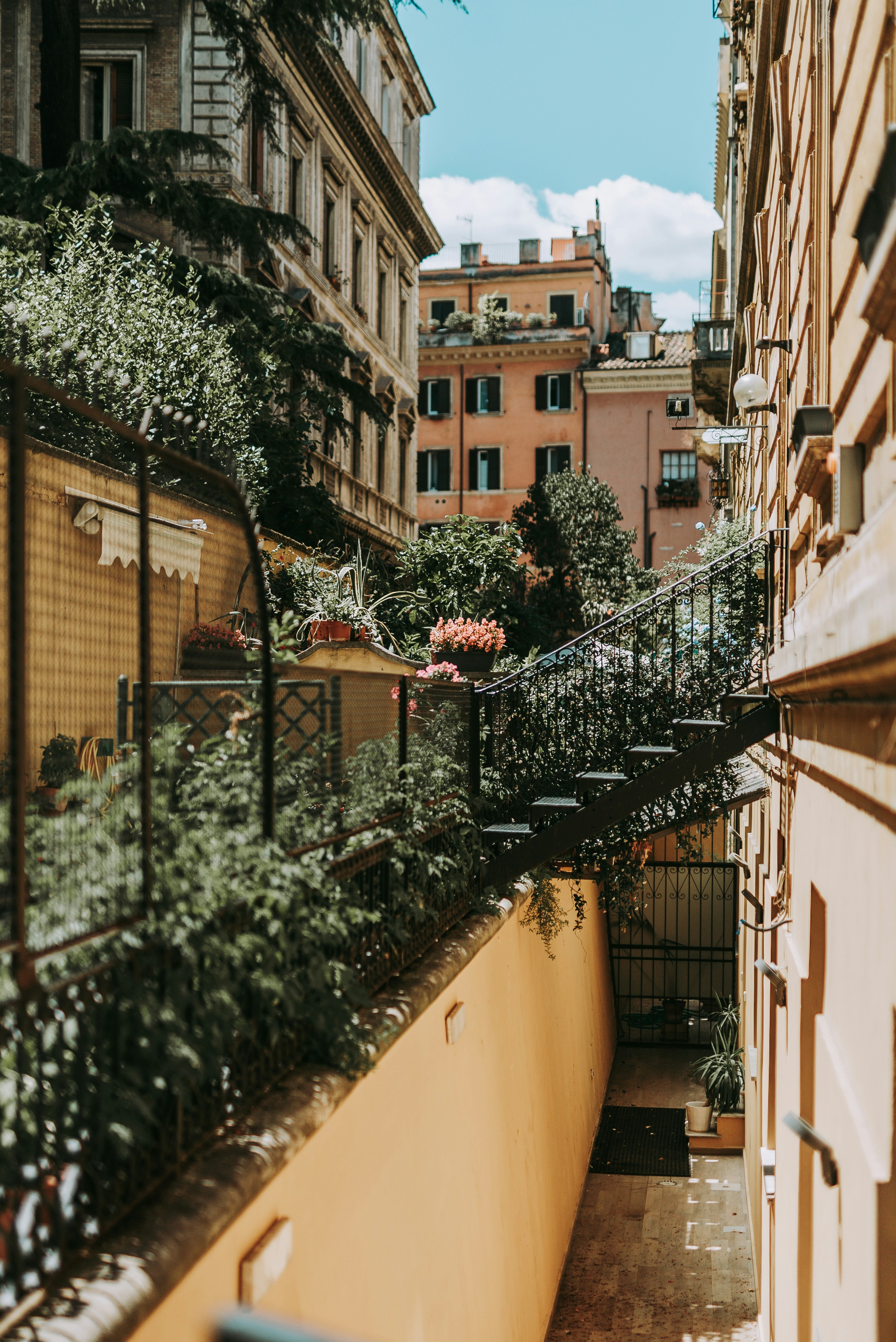 Sun-drenched Alleyway Staircase Framing a Verdant Courtyard