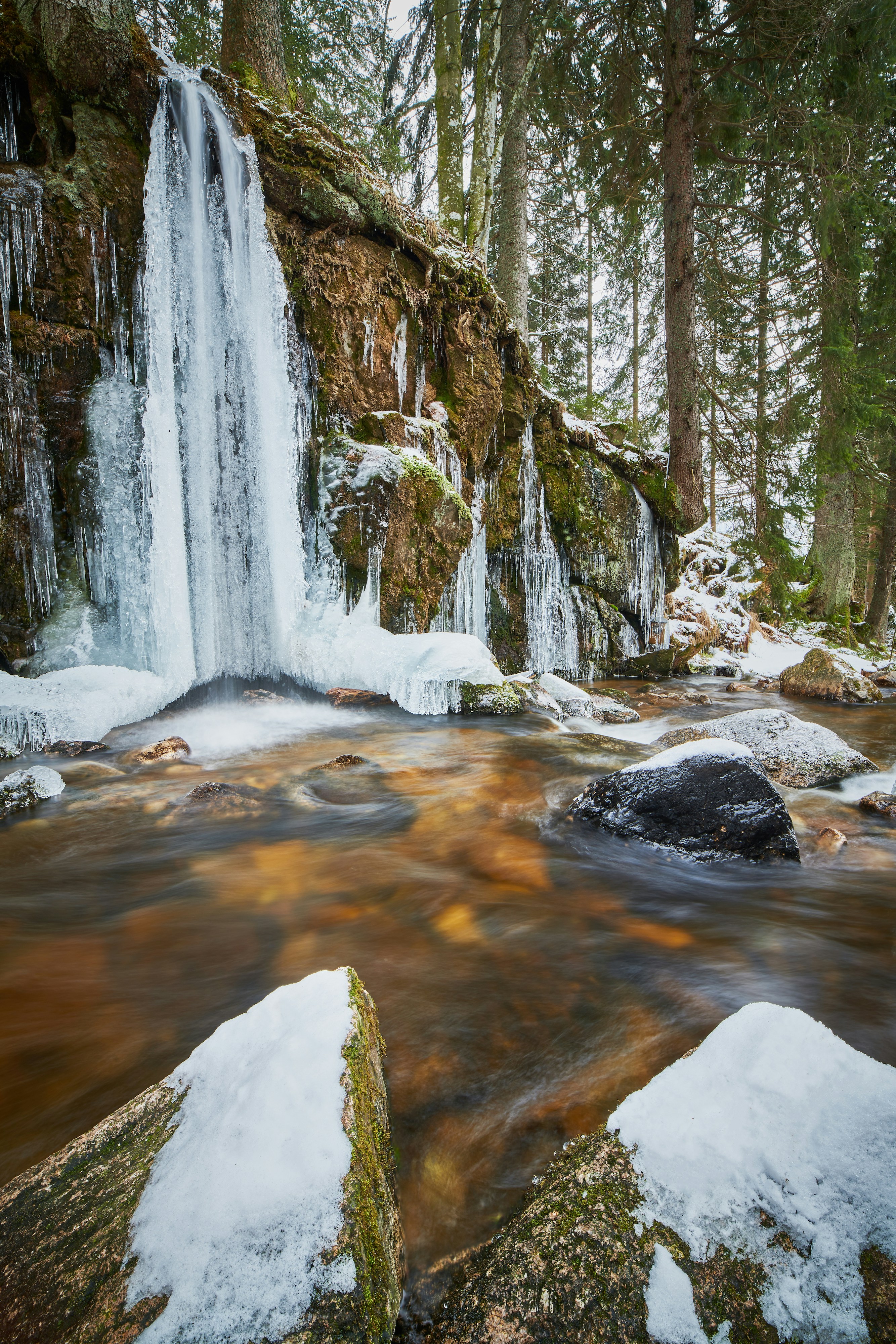 Icy Cascade at the Forest Edge