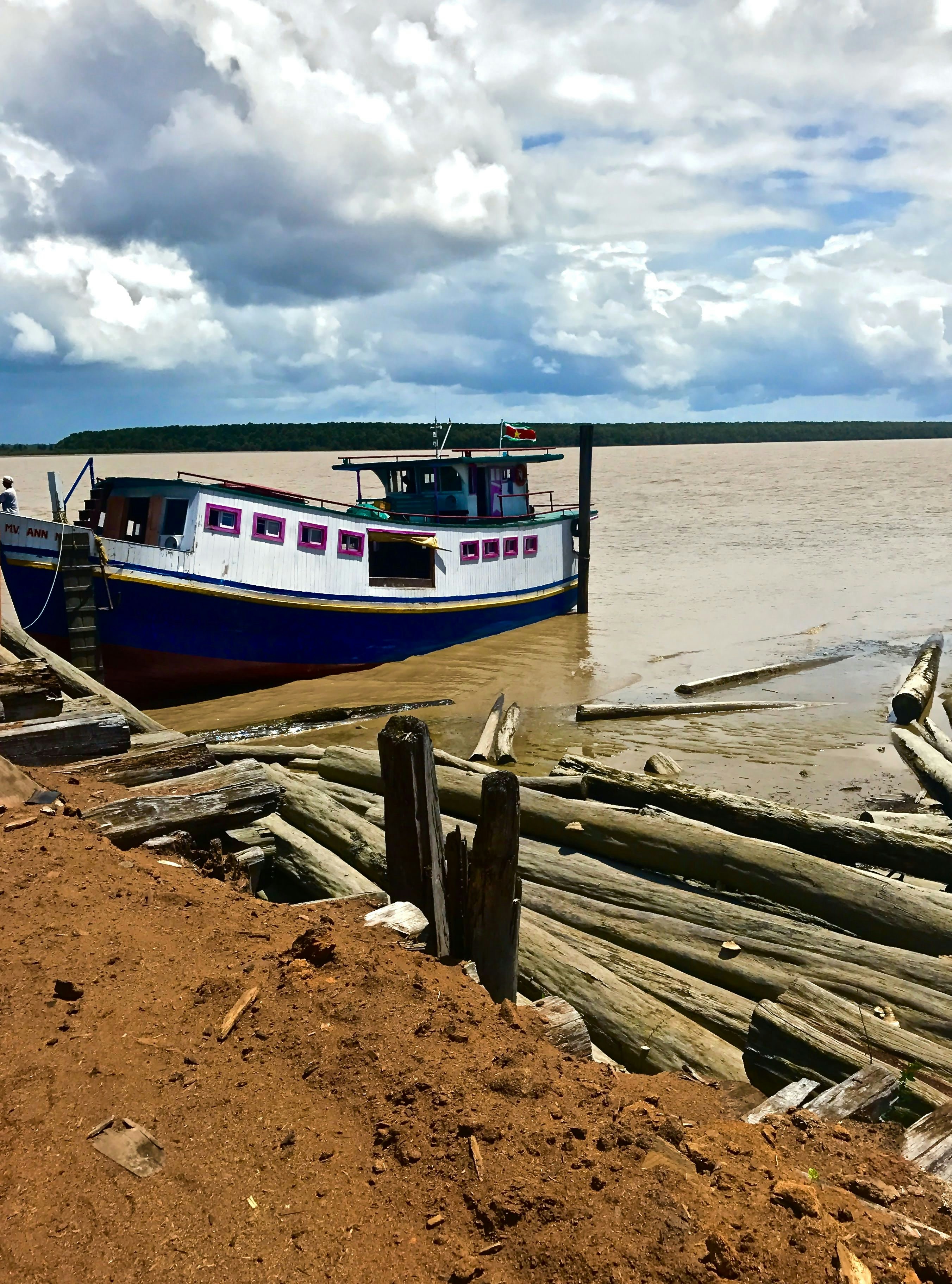 Color-Trim Barge Resting Amid Driftwood on a Mudflat Shore