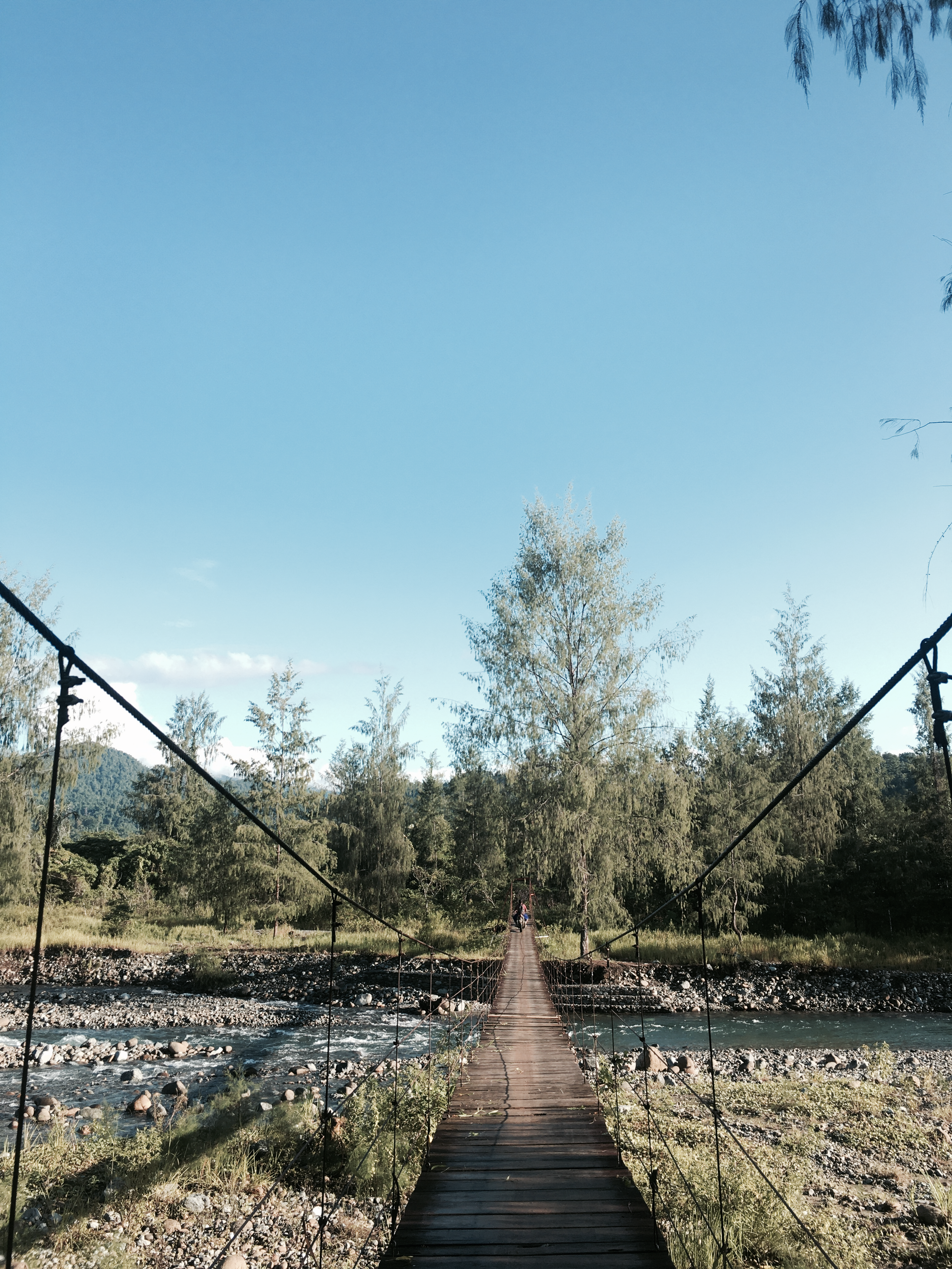 Crossing the Quiet Ribbon: A solitary figure on a timber suspension bridge