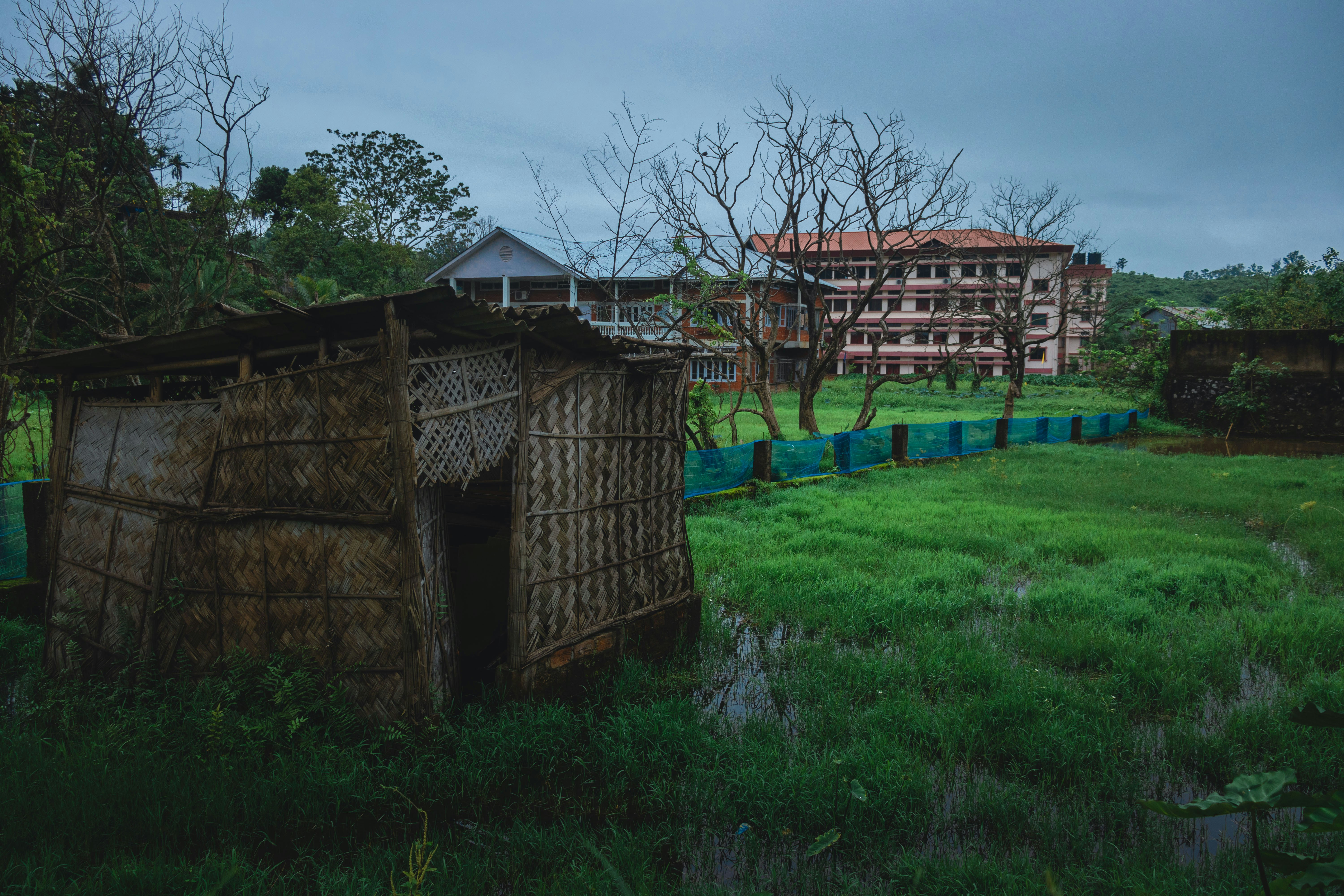 brown wooden house on green grass field during daytime