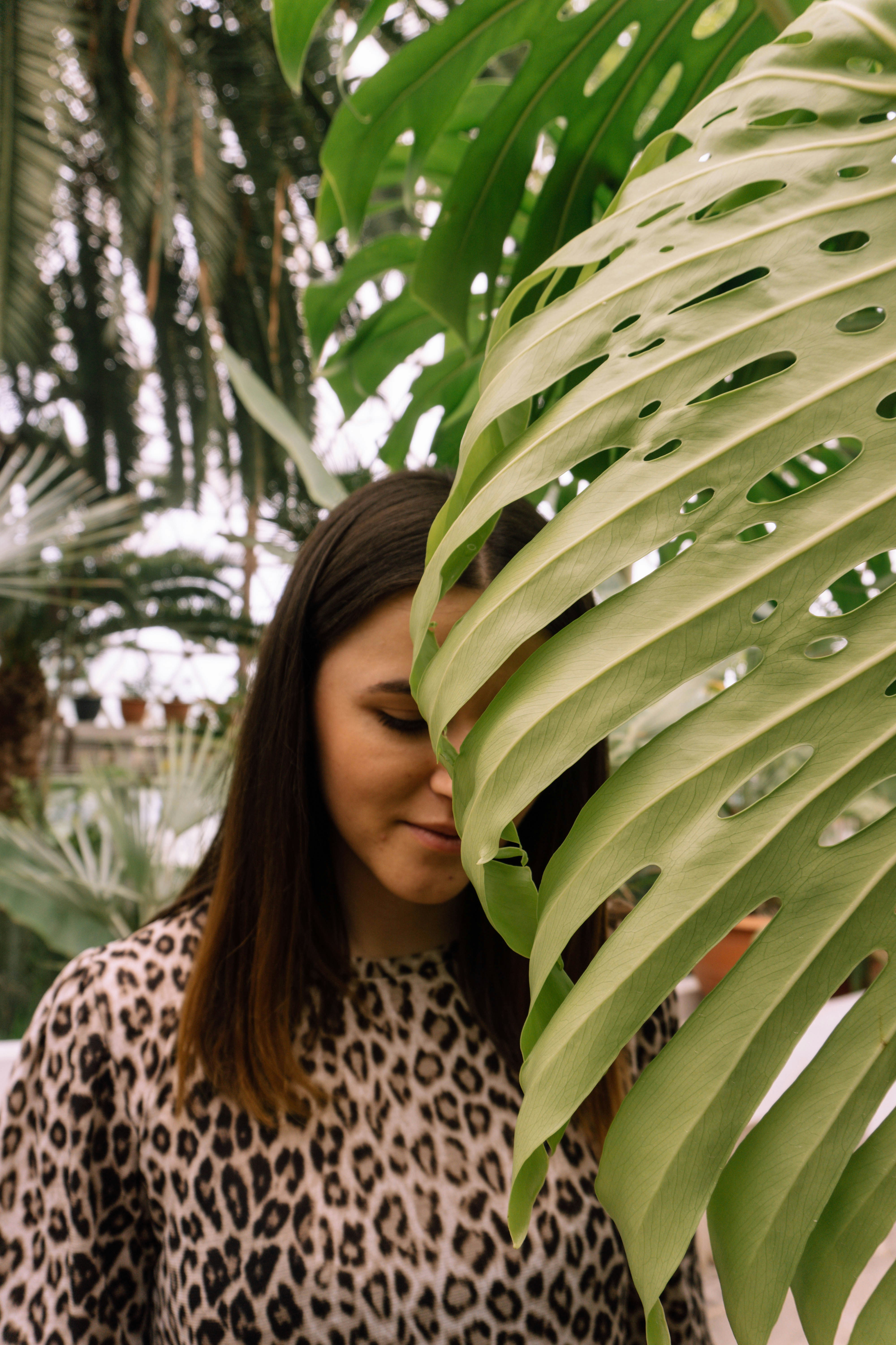 Hidden Smile Behind Tropical Veil