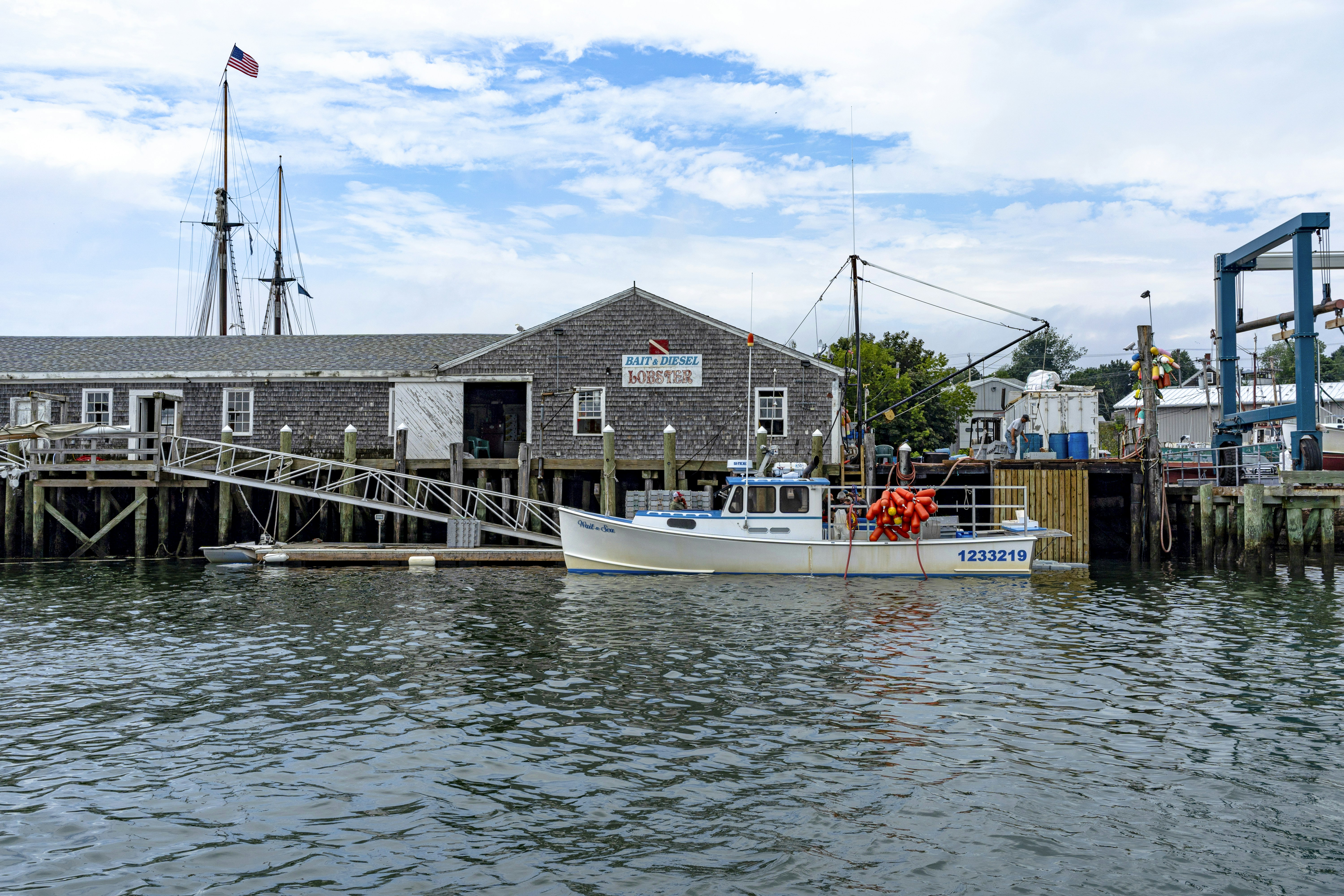 Wooden bait and tackle shop perched over calm harbor waters with a classic fishing boat moored nearby.