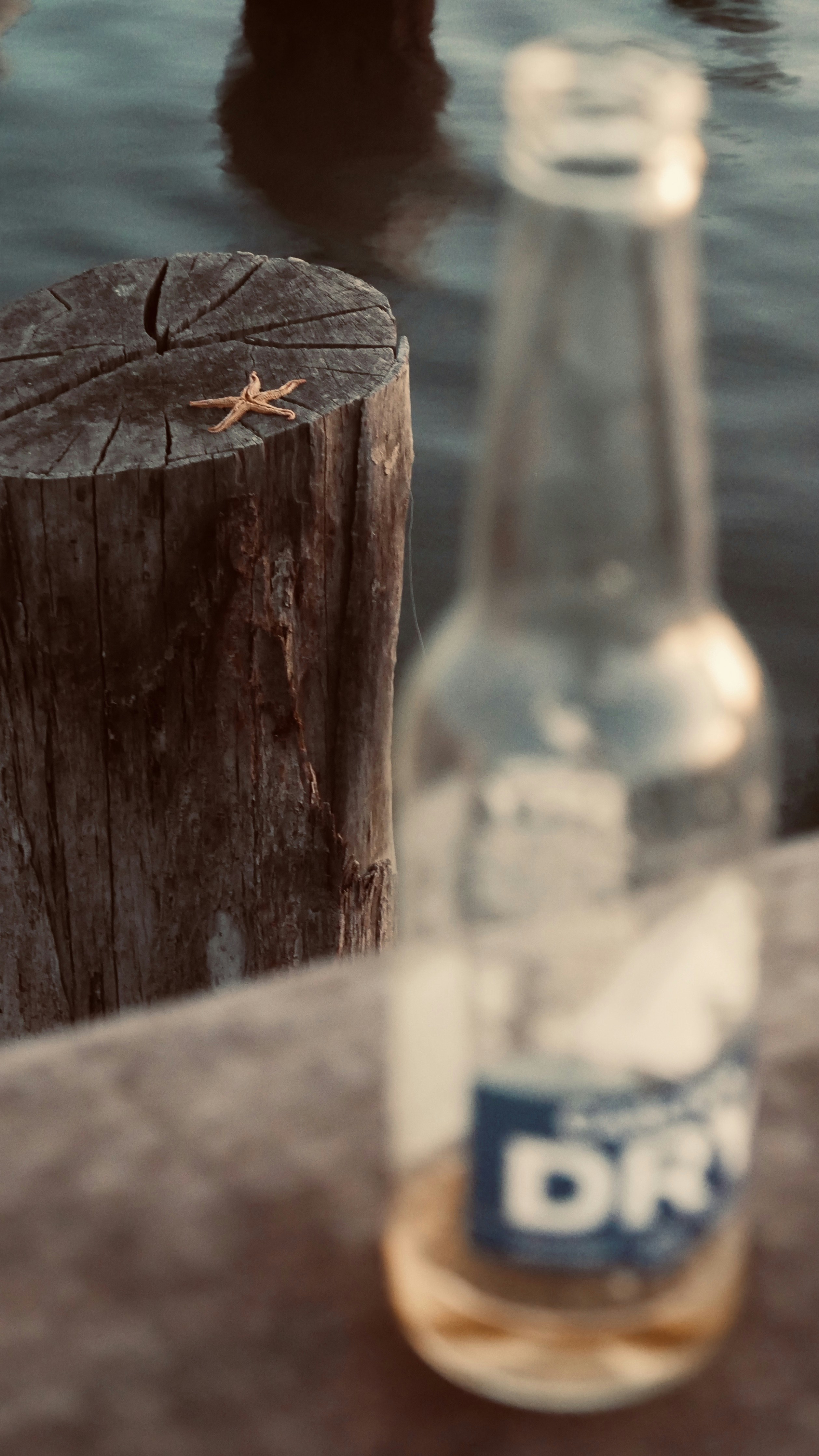 Starfish Sentinel on a Weathered Post by Quiet Waters