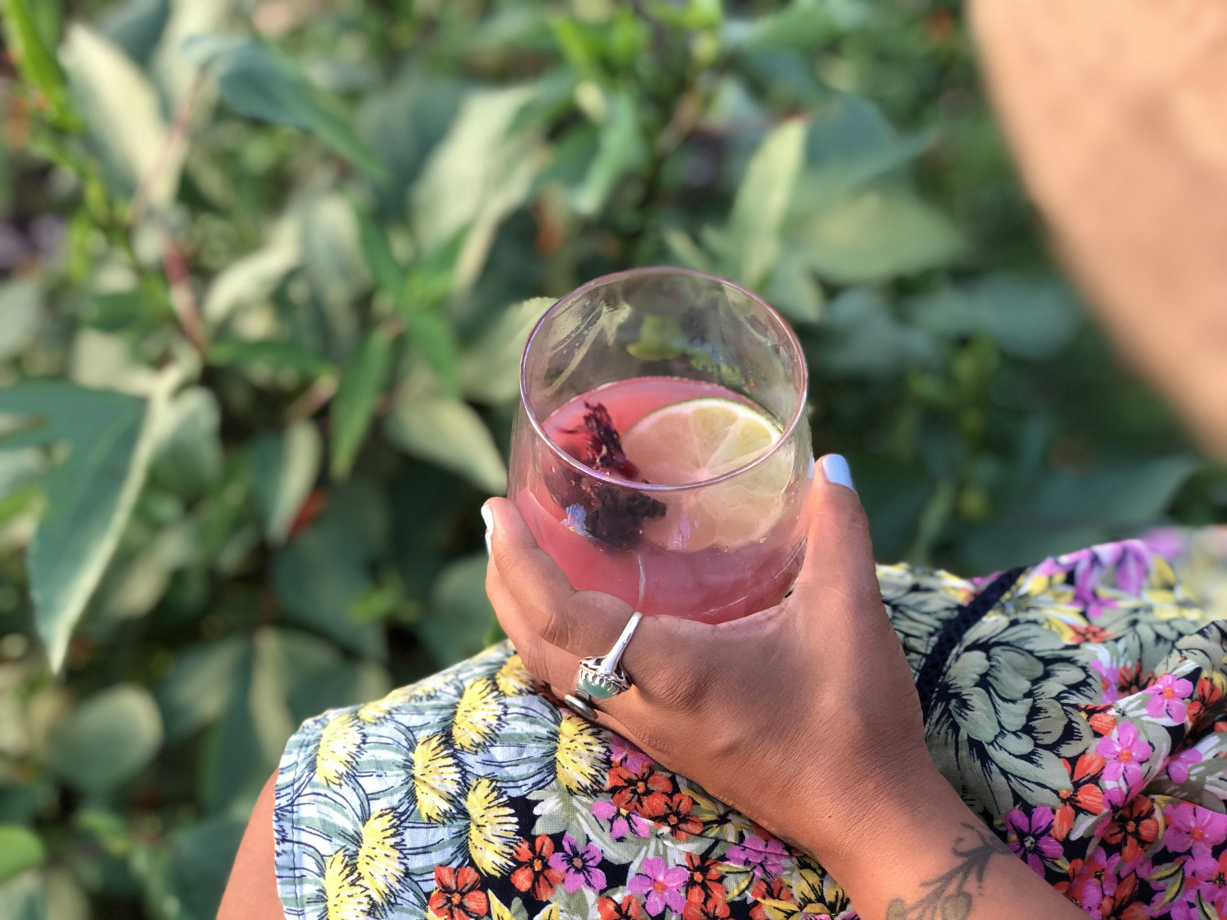 A hand holds a glass of pink cocktail garnished with lime and berries, set against a backdrop of lush green foliage.