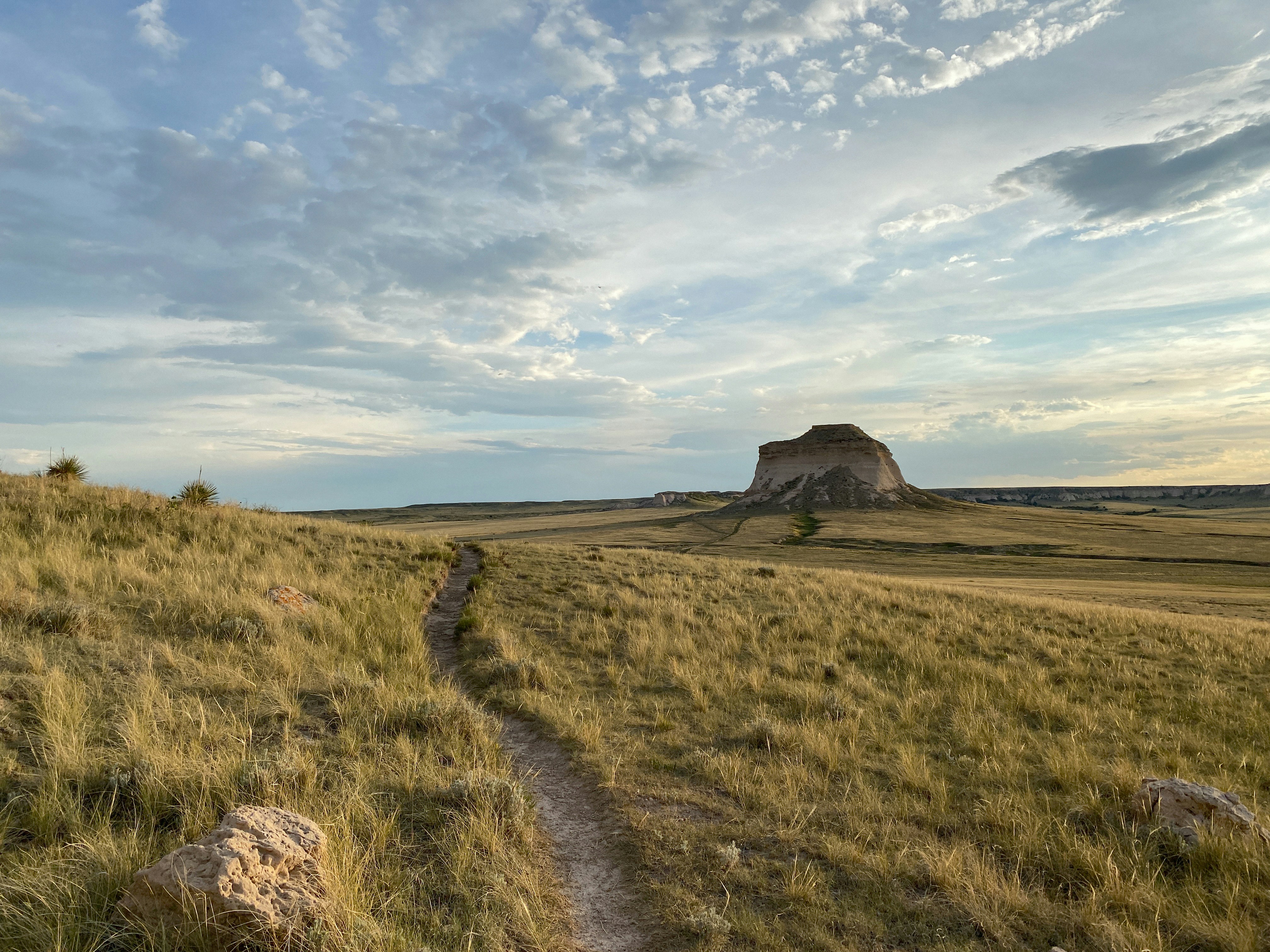 A winding trail leads through golden grasslands towards a prominent rock formation under a vast sky. The scene captures the tranquil beauty of the open landscape.