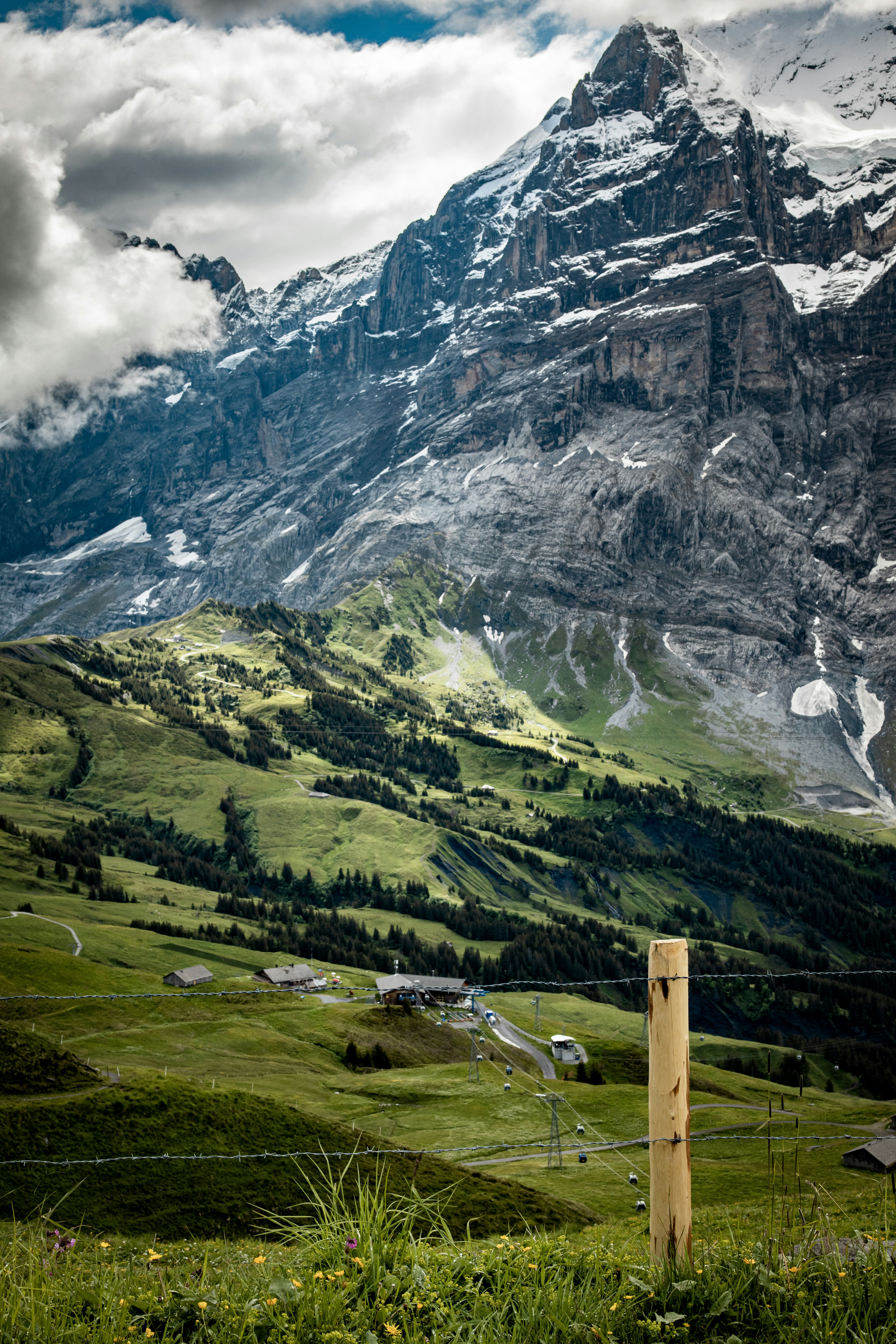 Alpine Crest: Snow-Touched Peaks Over the Green Valley