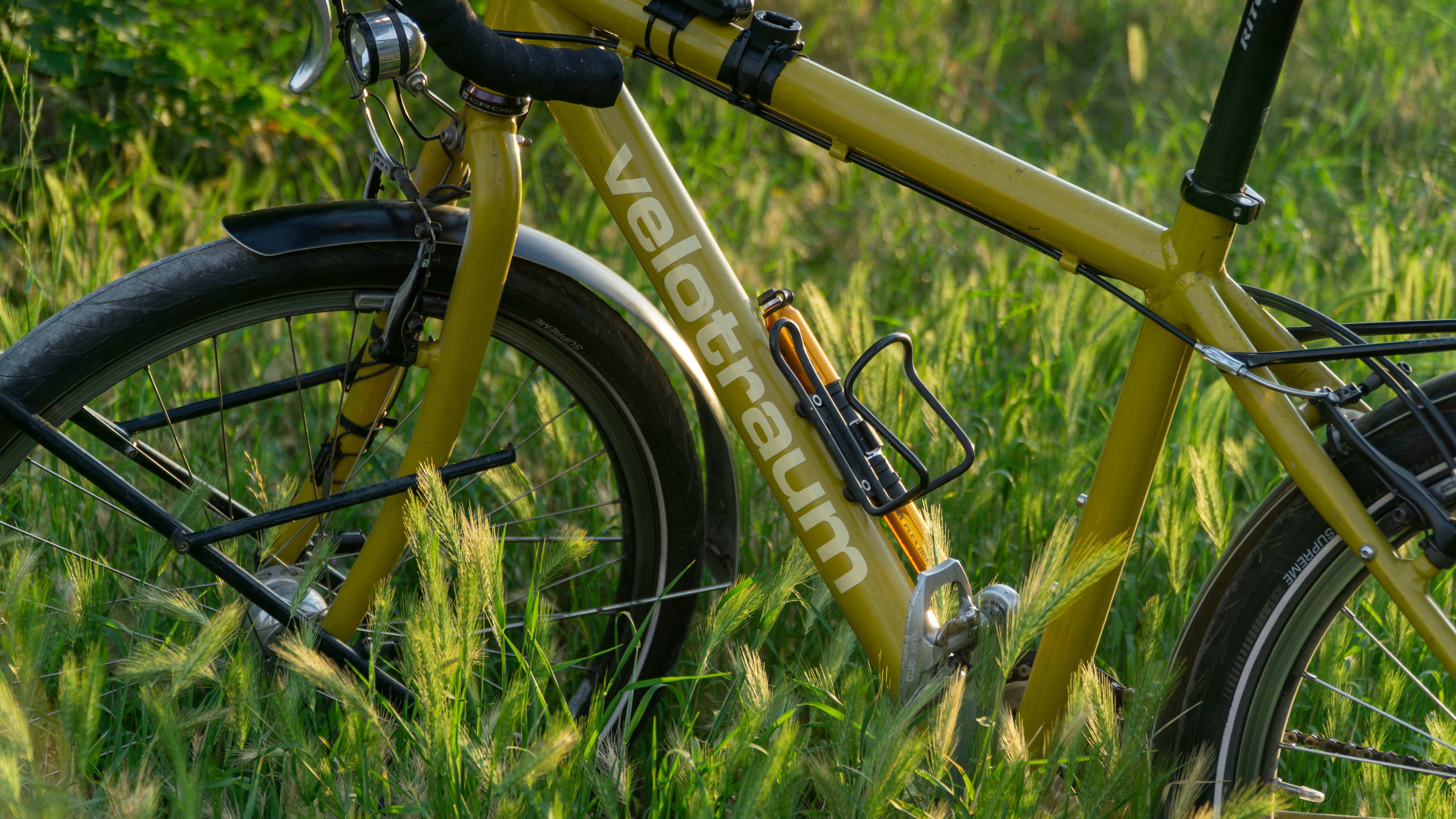 Verdant Rest: A Yellow Bicycle Quietly Anchored in Spring Grass