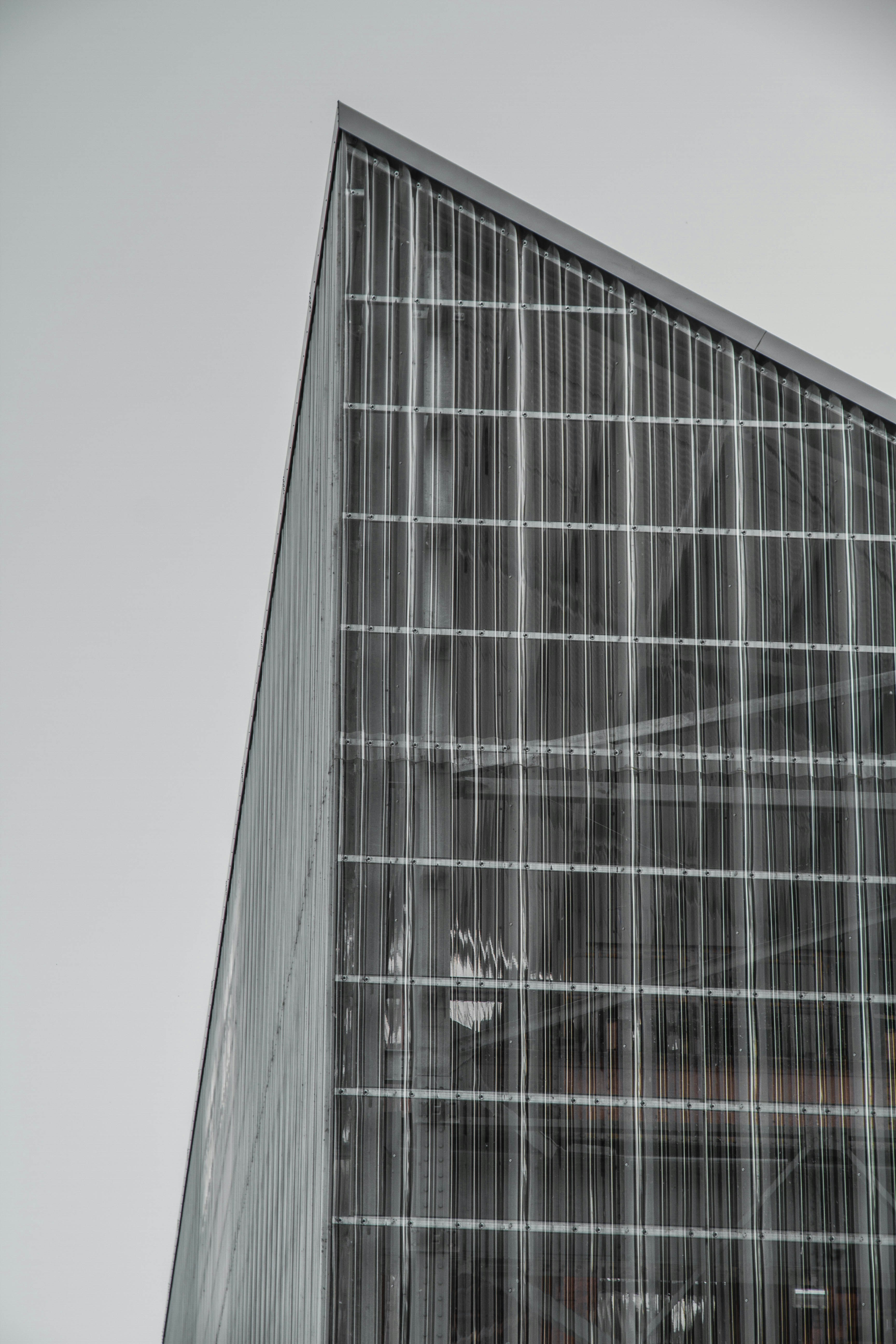 Photo by Niels Cornet with Canon EOS 7D