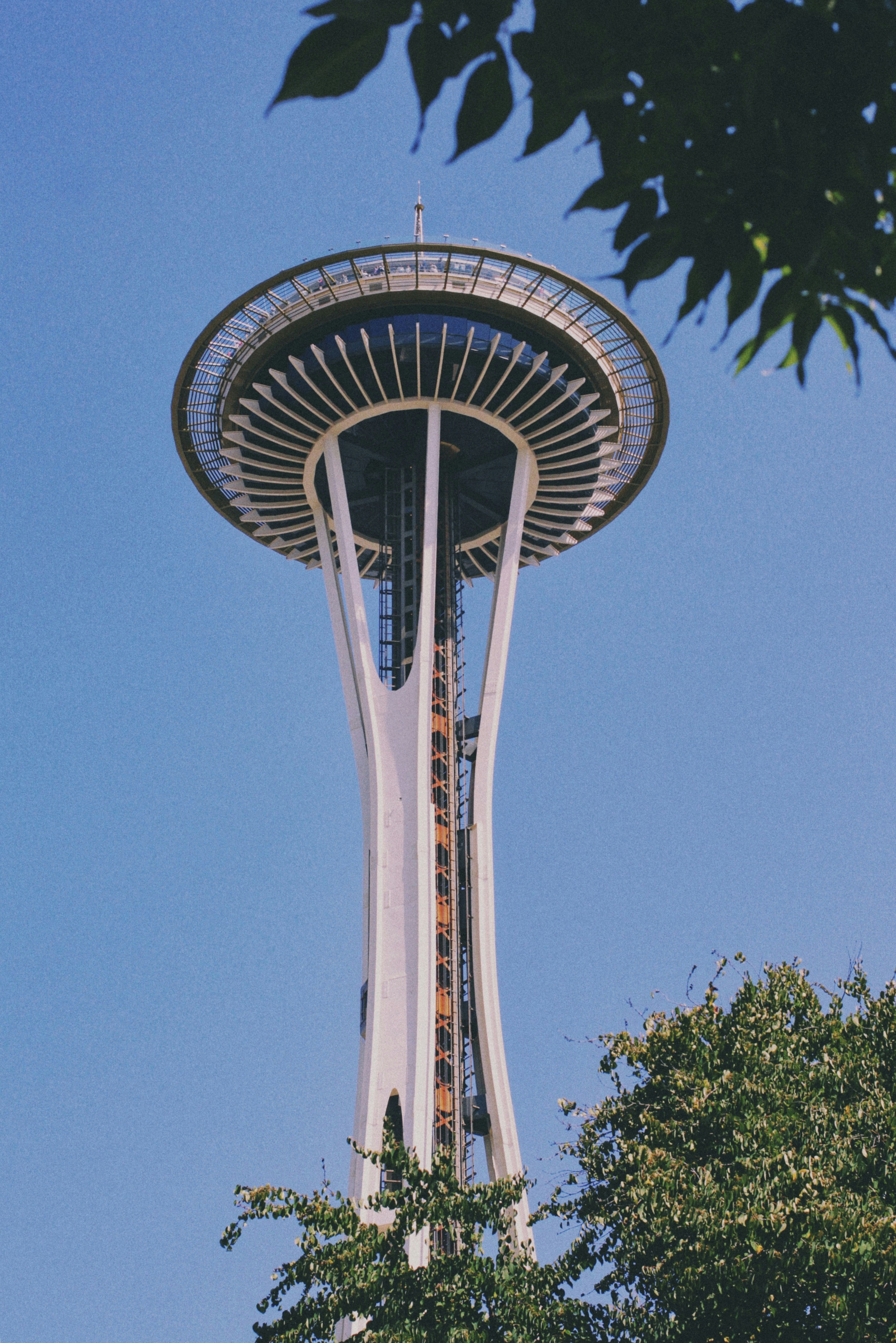 Photo by Hester Qiang with Canon EOS 650D