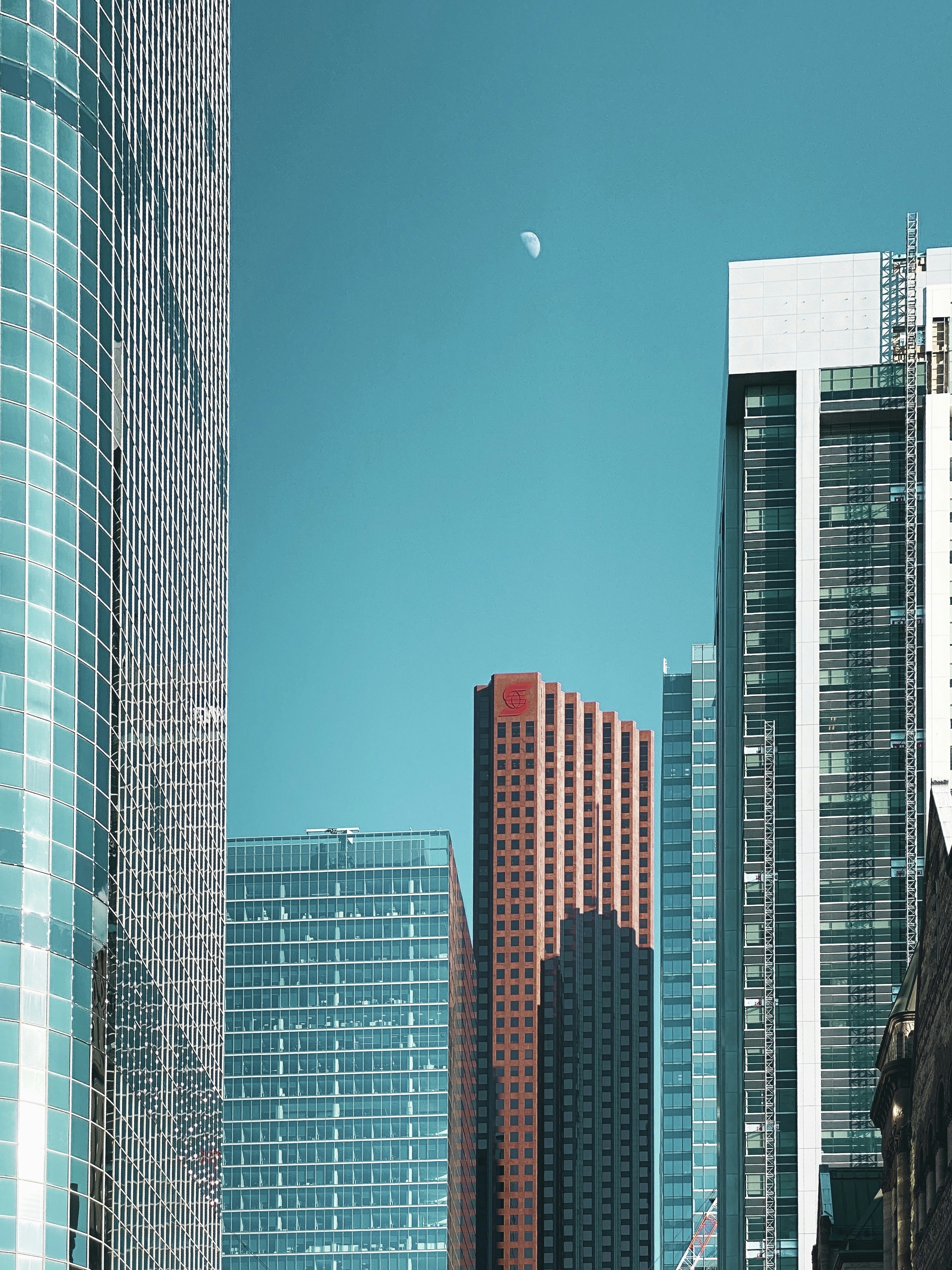 Modern skyscrapers reflecting the clear blue sky, with a crescent moon peeking above the cityscape.