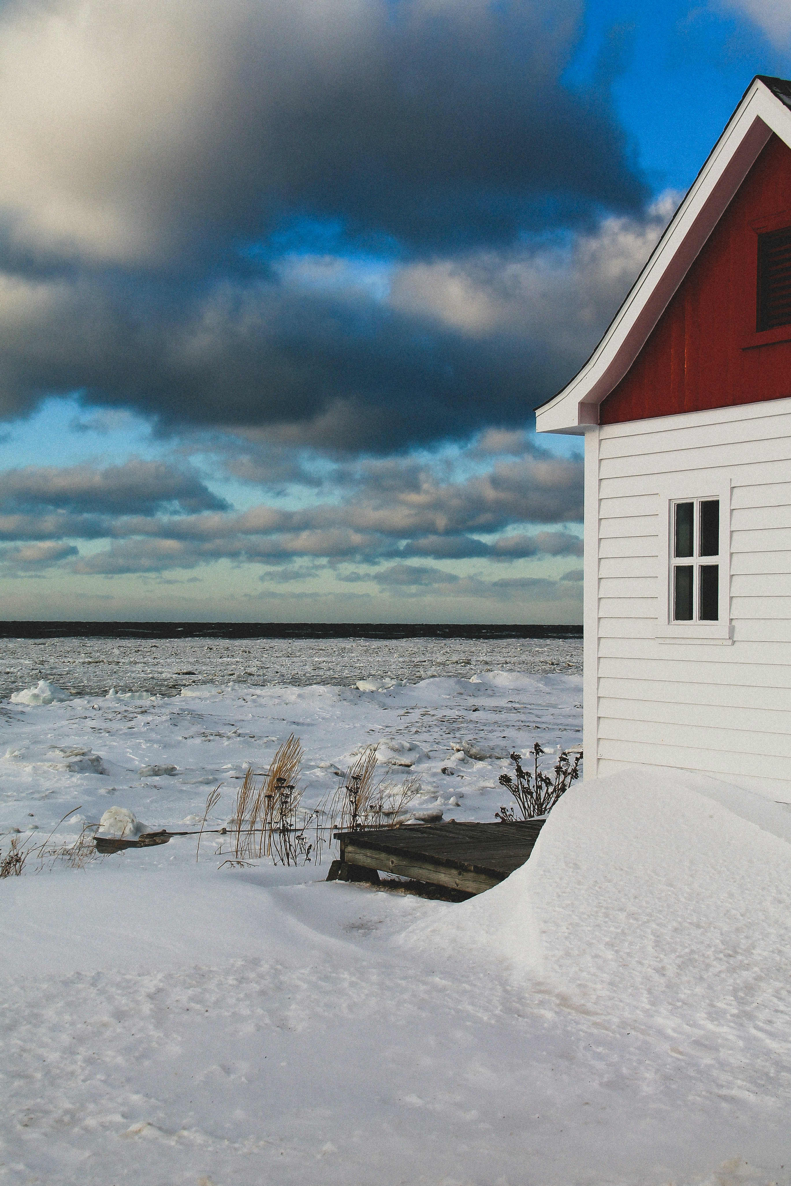 Snowbound Cottage by a Wind-Lashed Seascape