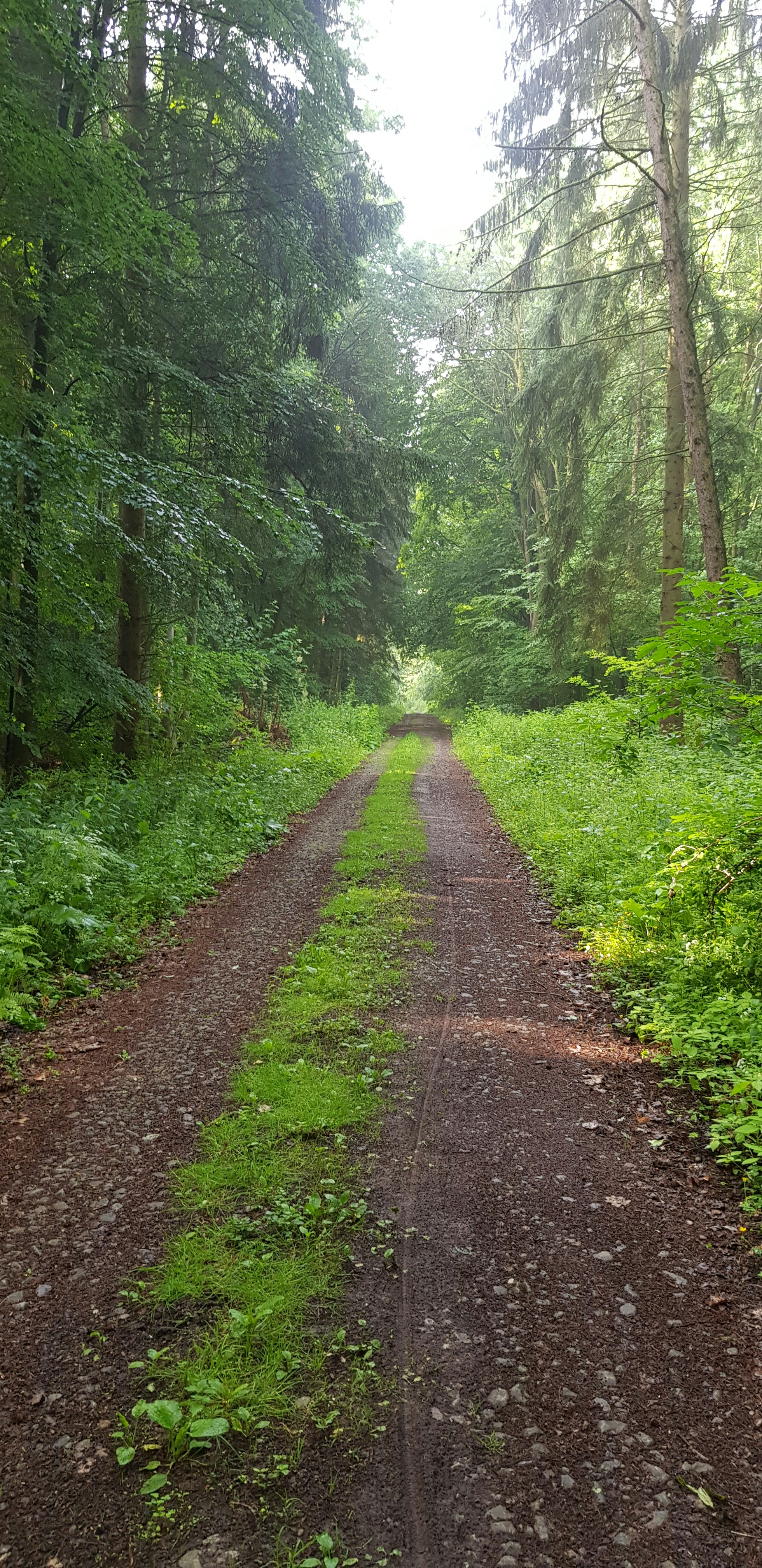 Jennifer Jäger (@jennyfee) | Unsplash 사진 커뮤니티