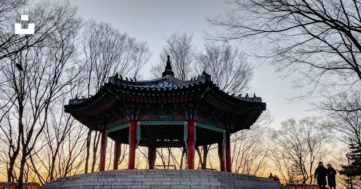낮 동안 벌거 벗은 나무 근처의 갈색 나무 전망대 사진 Unsplash의 무료 서울 이미지