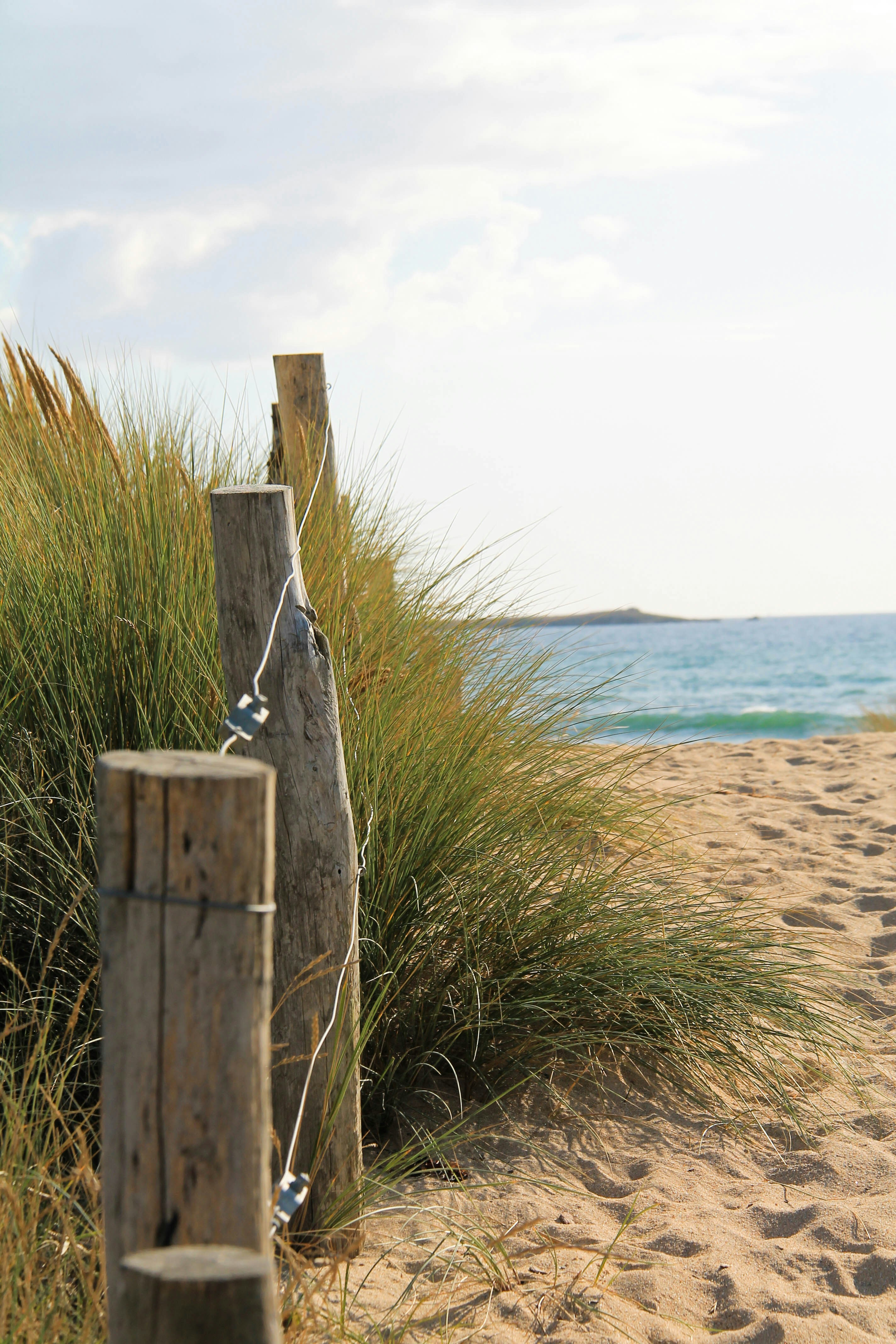 Weathered Fences and Sea Grass Dawn at the Shore