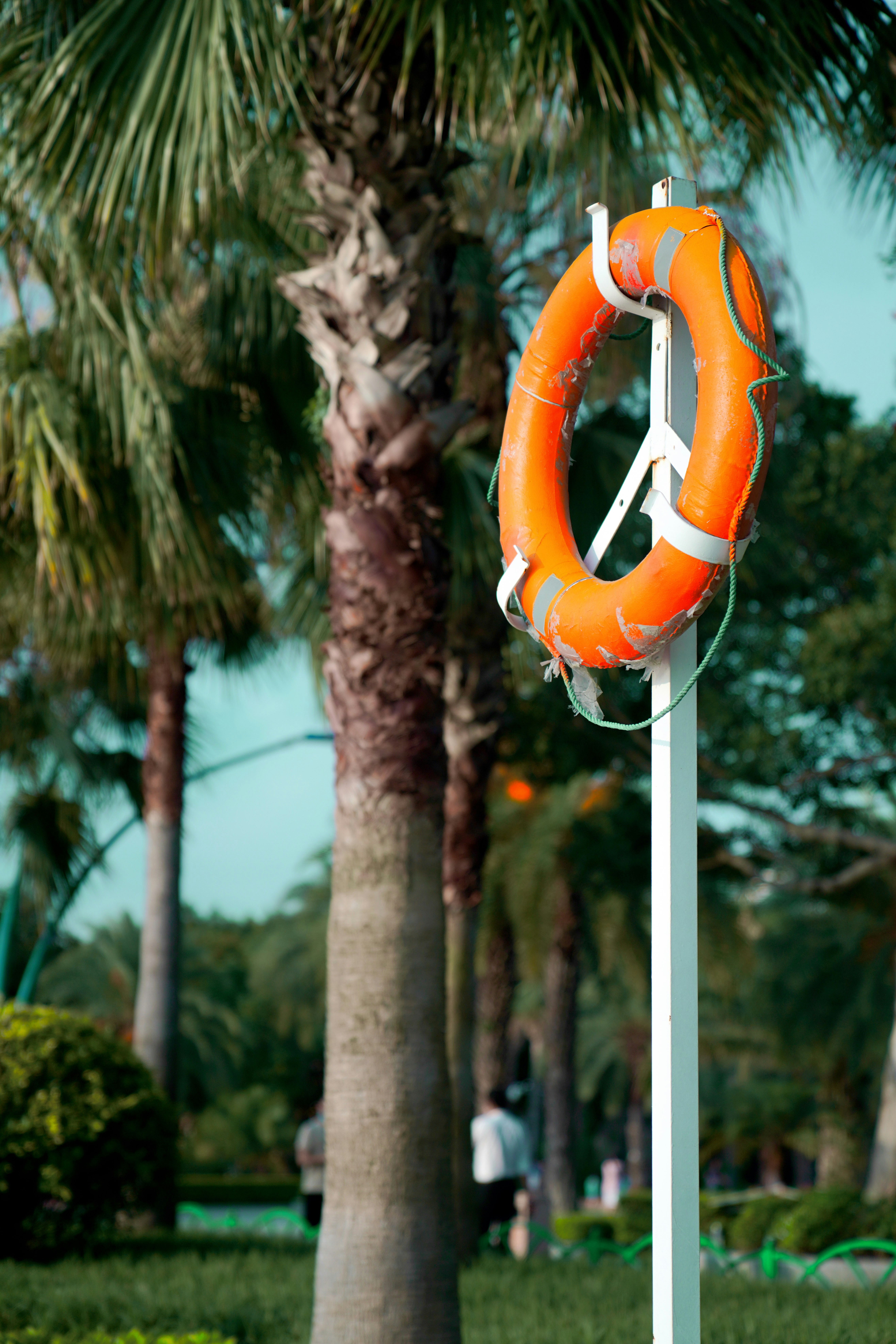 Orange Lifebuoy on a White Post in a Tropical Park