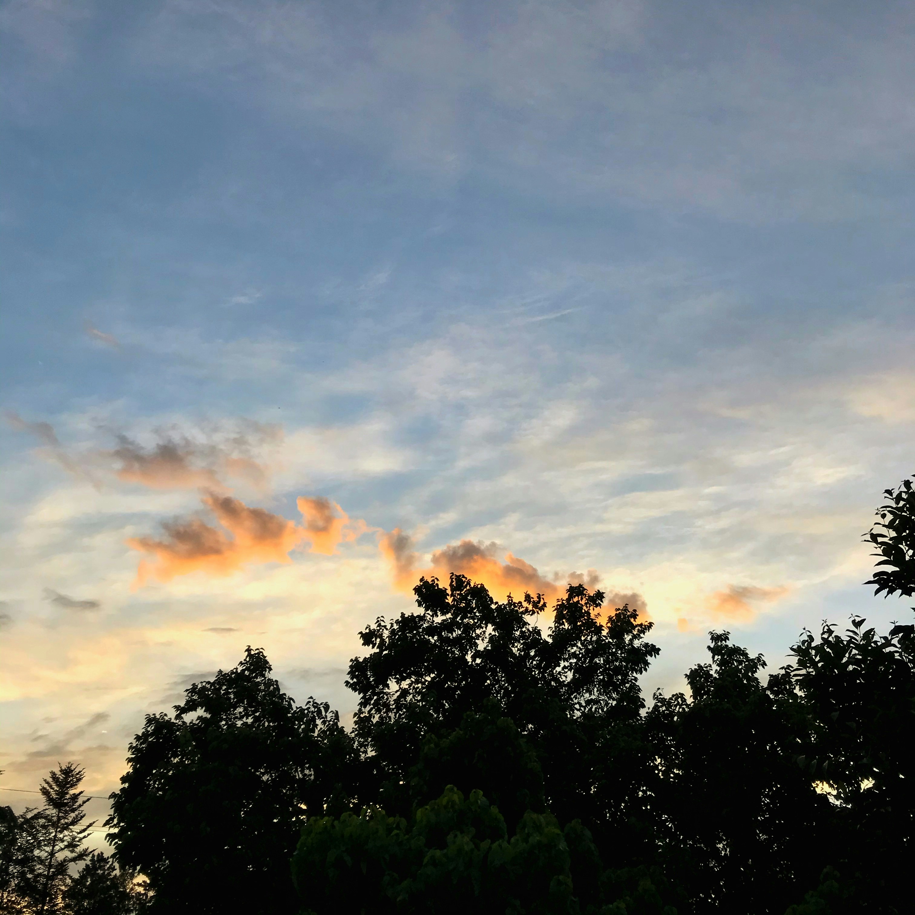 Francesco Zof (@francescozof) | Unsplash Photo Community