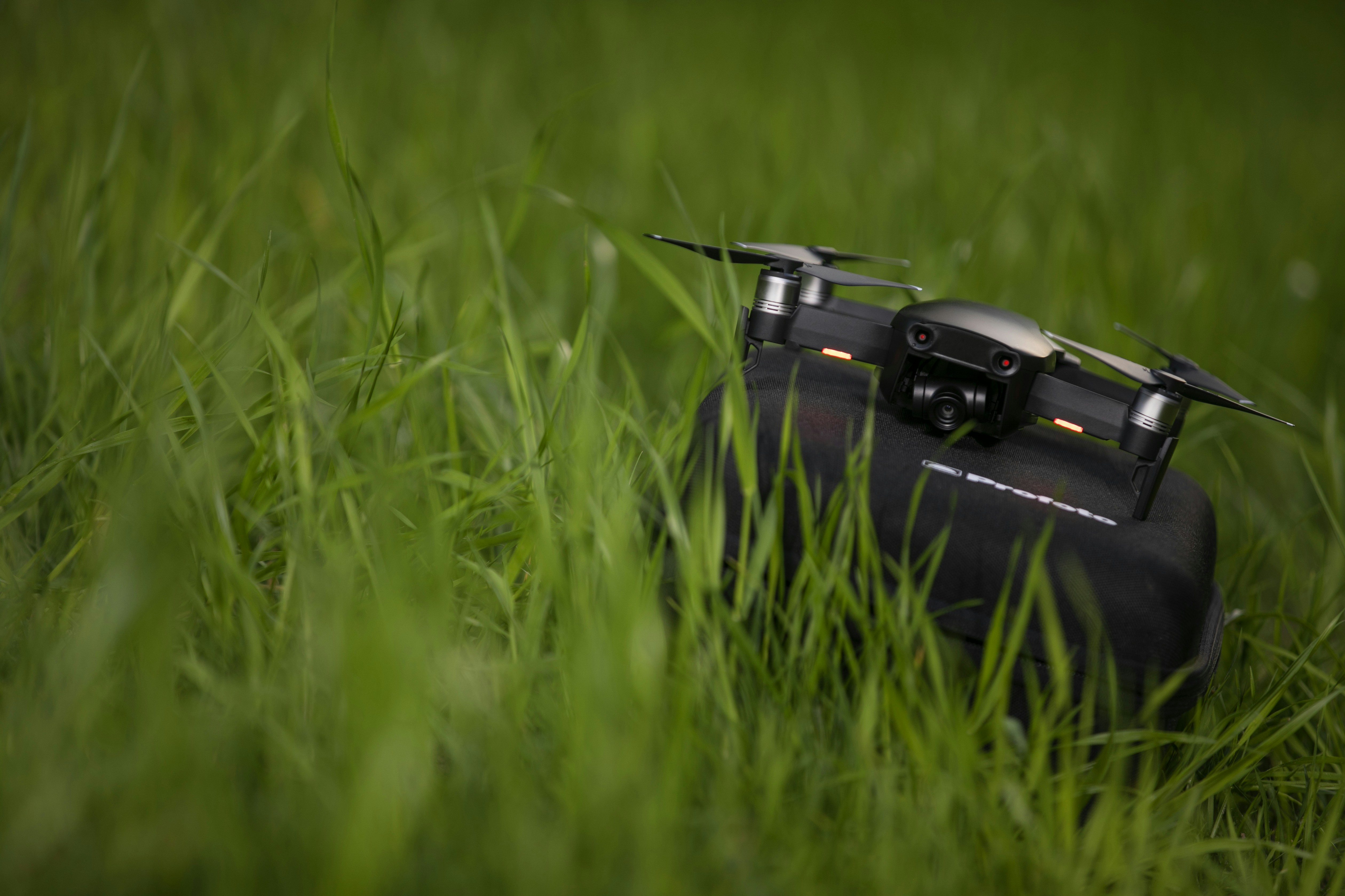 black dslr camera on green grass