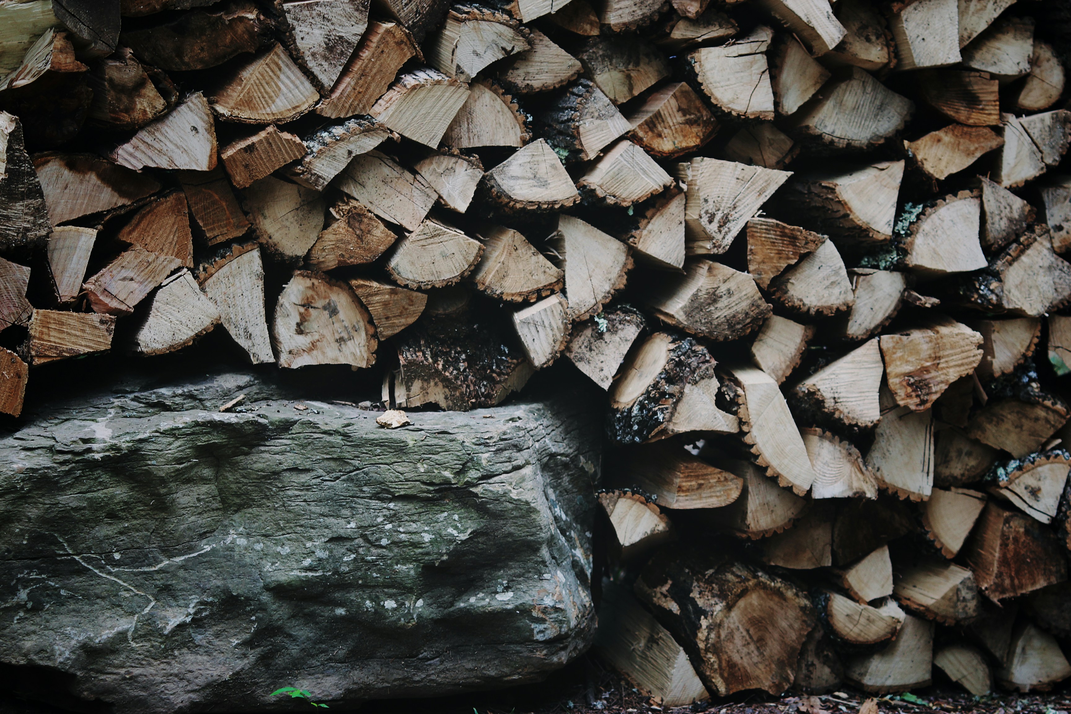 Stacked logs and a large stone create a rustic backdrop, showcasing the textures and patterns of natural materials.
