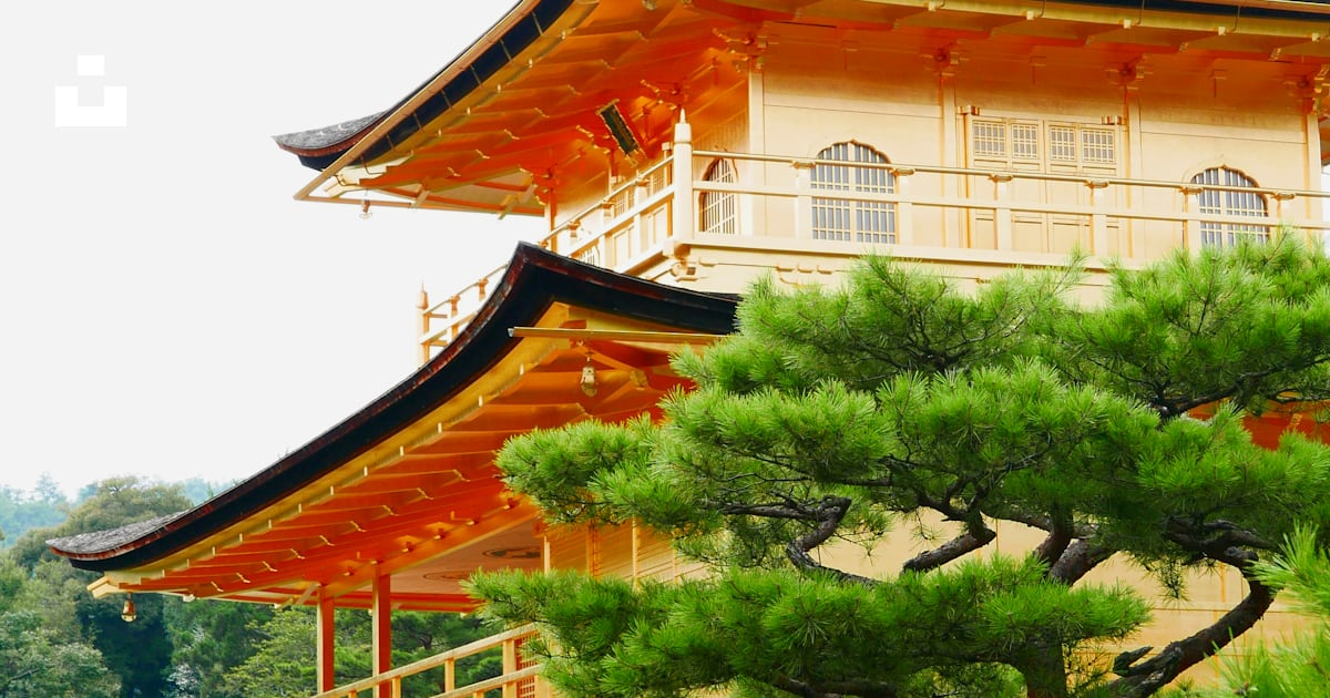 昼間は緑の木々に囲まれた茶色と白のコンクリートの建物の写真 Unsplashの日本の無料画像
