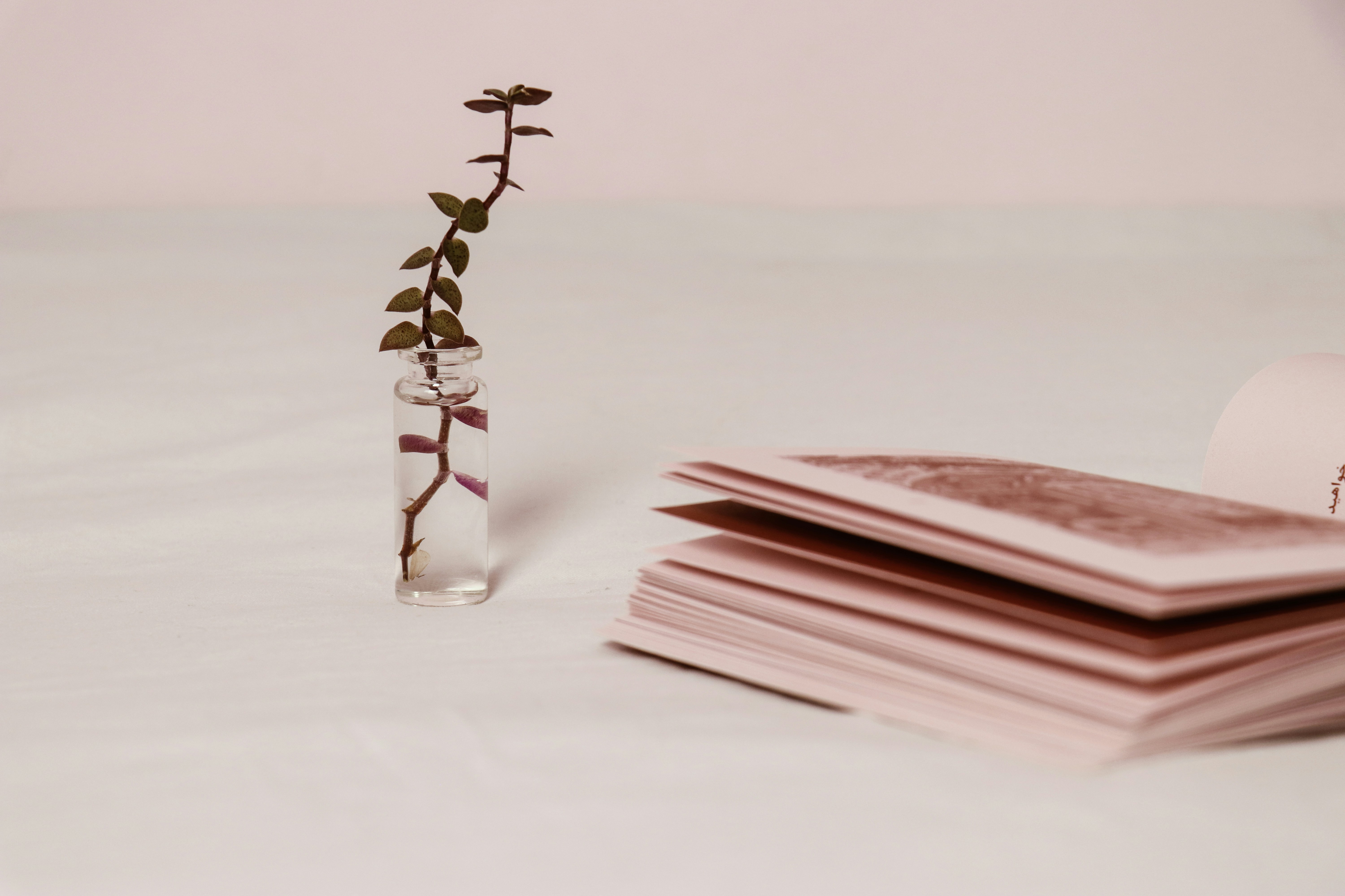 10 Personal Growth Books That Accelerate Career Success - thebookbrief.com