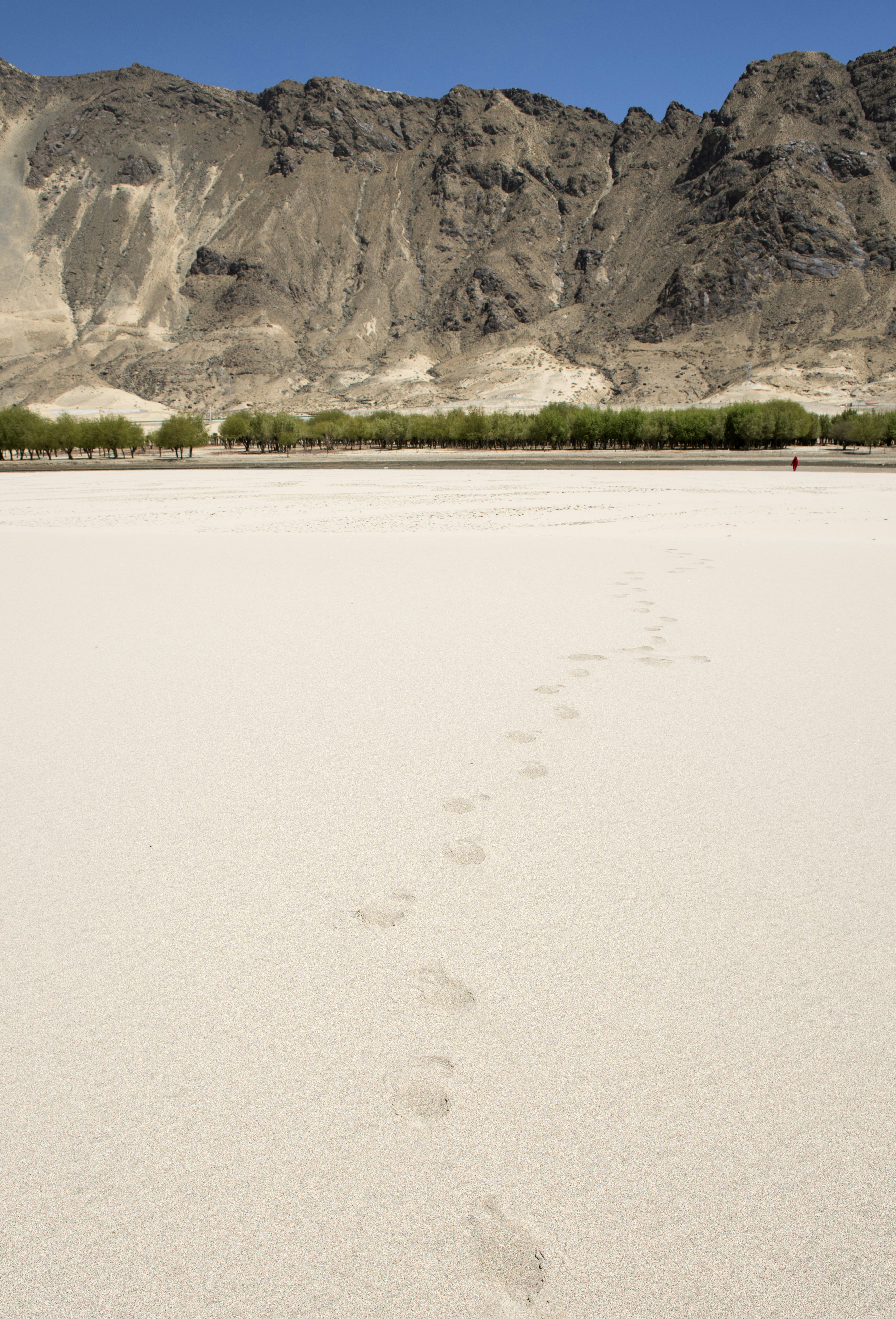 Footprints trailing across a sunlit sandy expanse, framed by towering mountains and a sparse line of trees in the background.