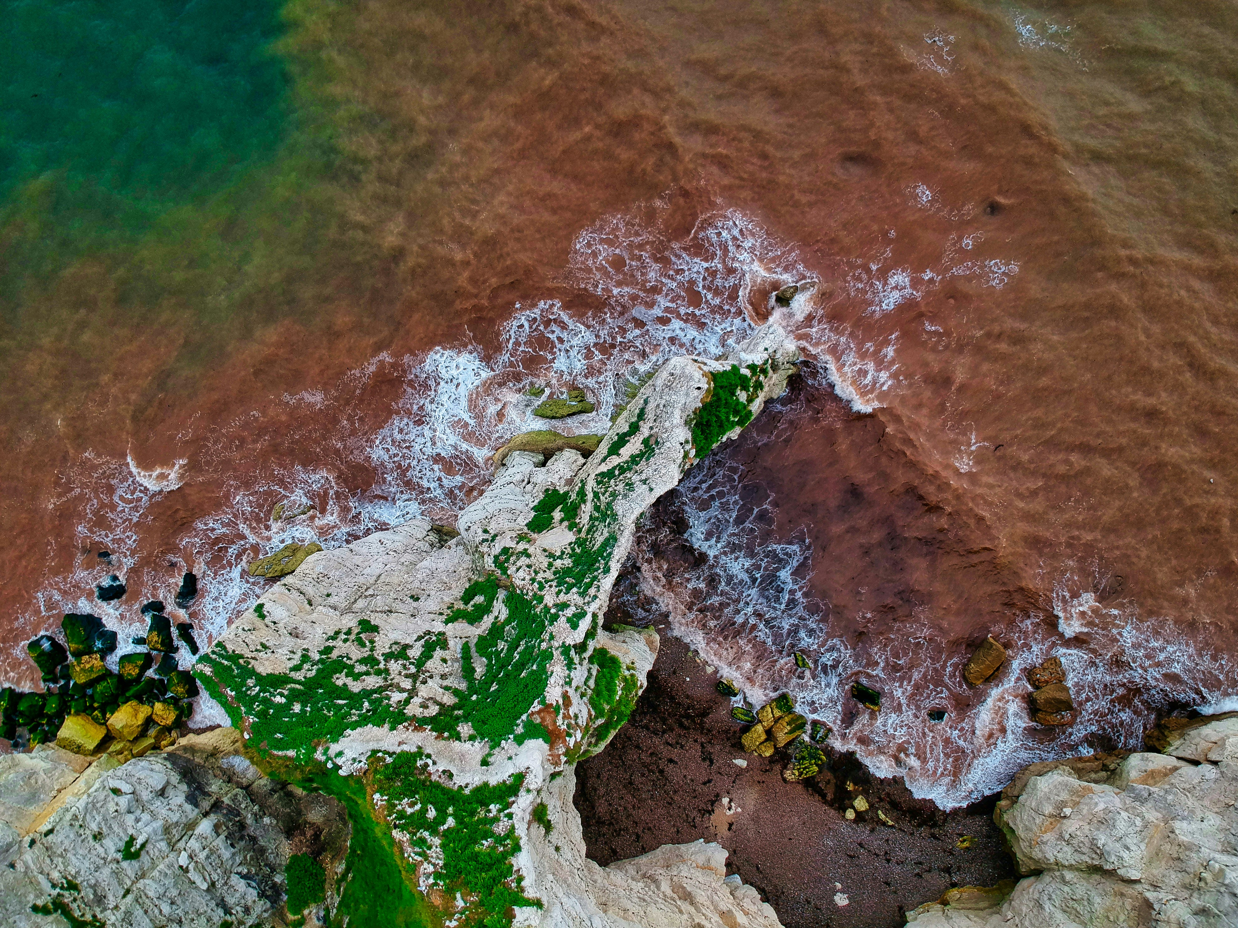 Moss-Covered Promontory Meets Crimson Tide