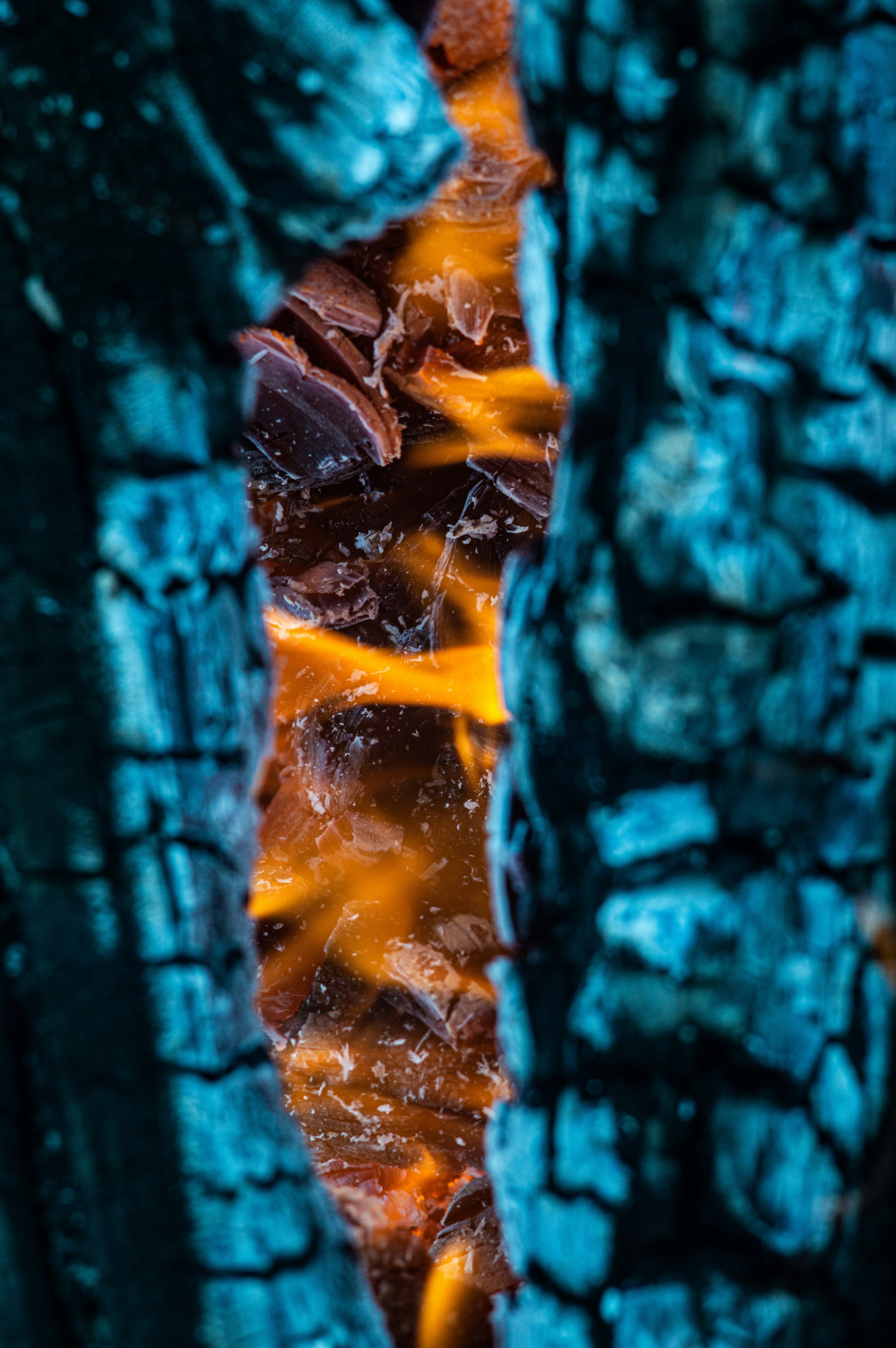 close up photo of fire