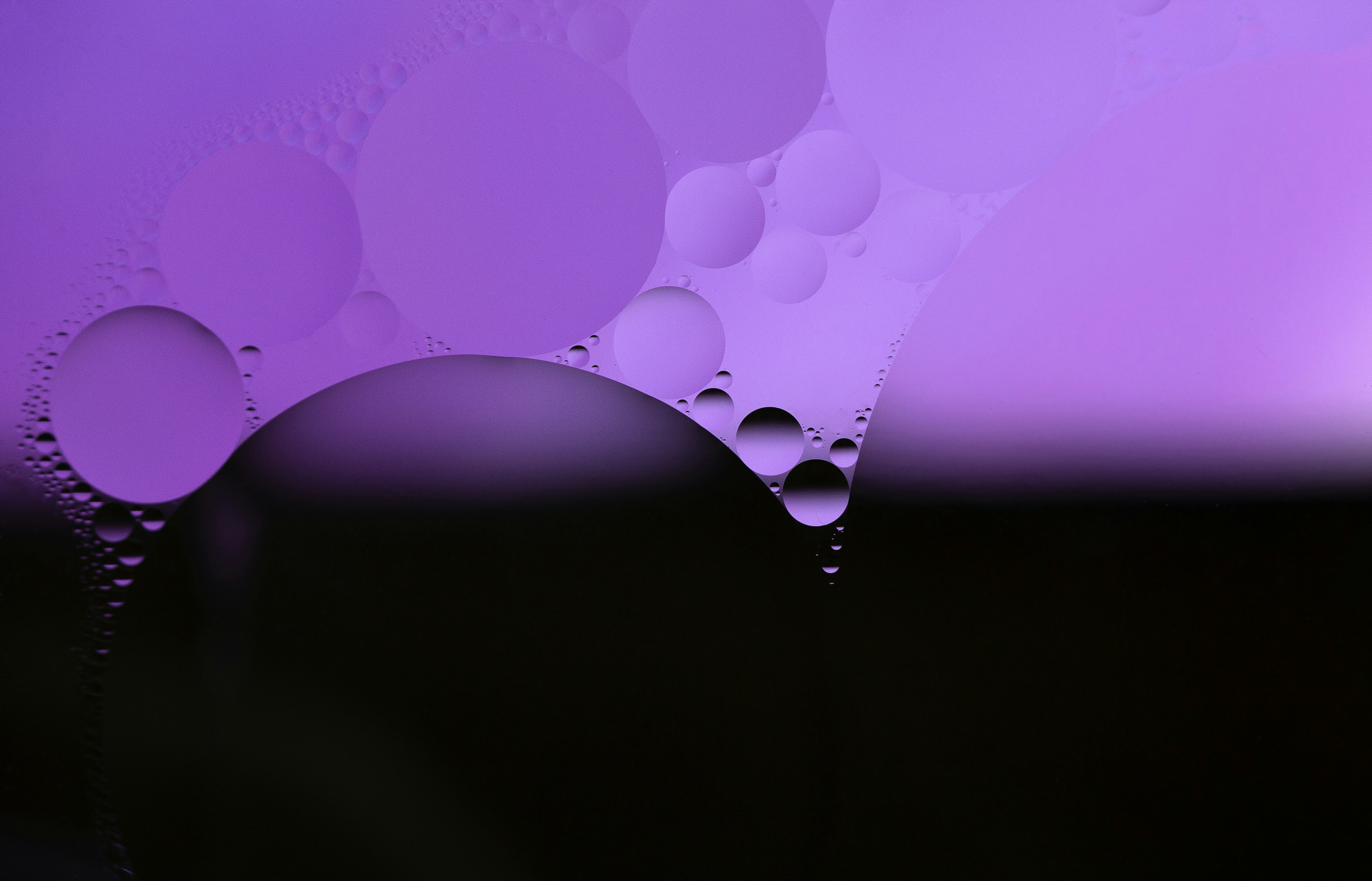 Two Tone Pictures | Download Free Images on Unsplash