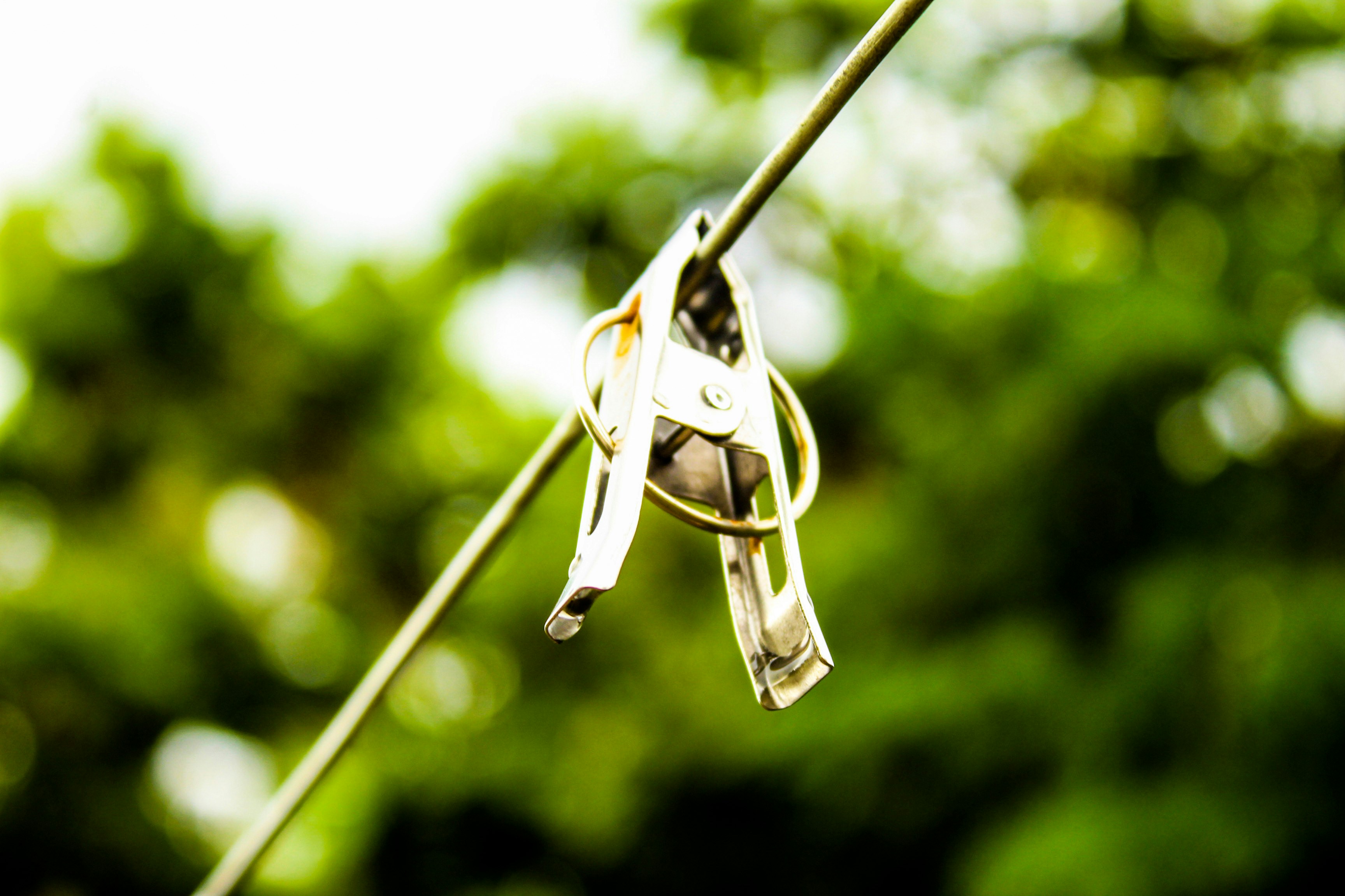 Clothes Pegs on a Wire: A Quiet Moment in the Garden