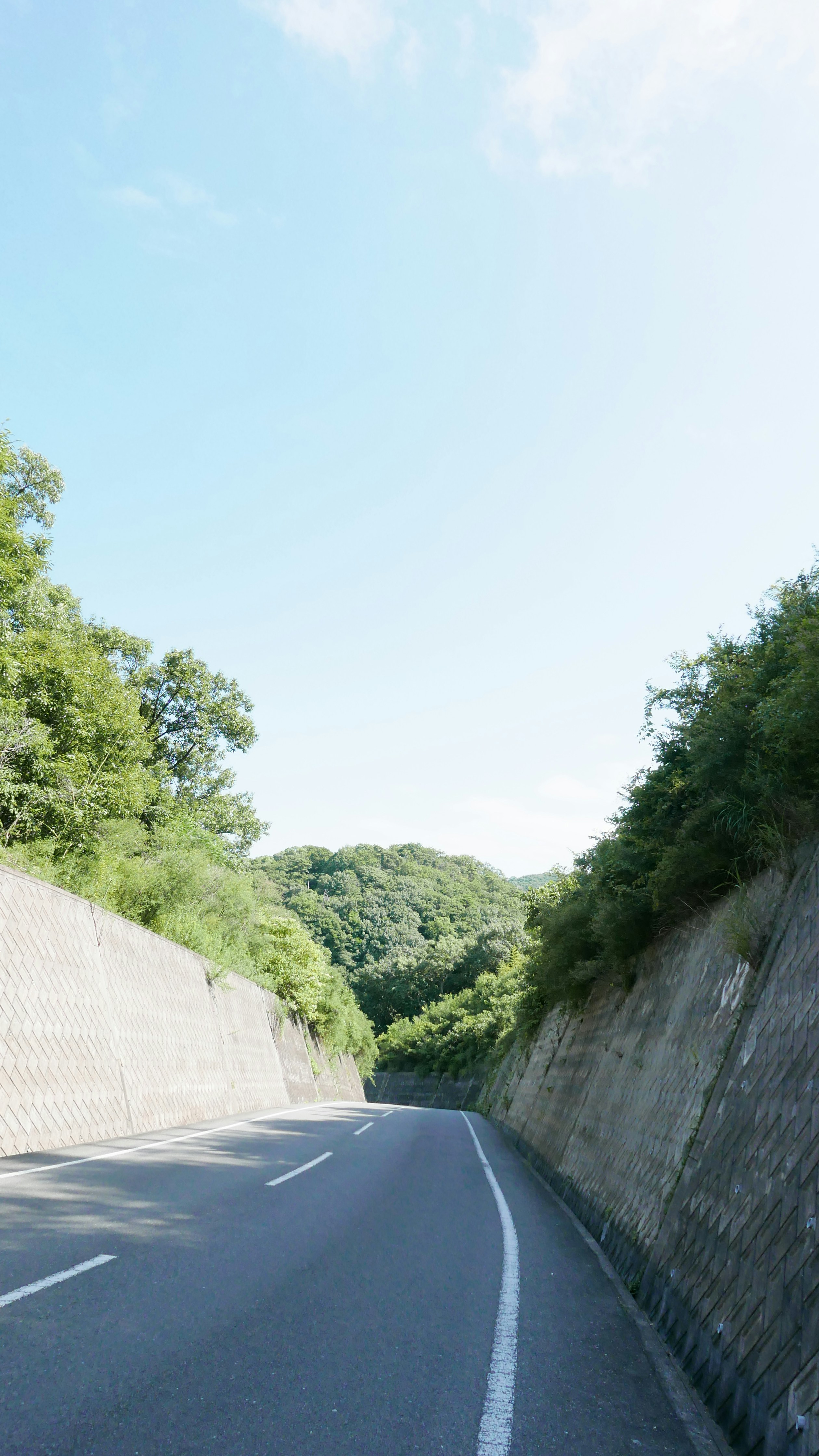 Curving road flanked by lush greenery and stone walls, leading into a serene landscape. The scene captures the harmony between nature and infrastructure.